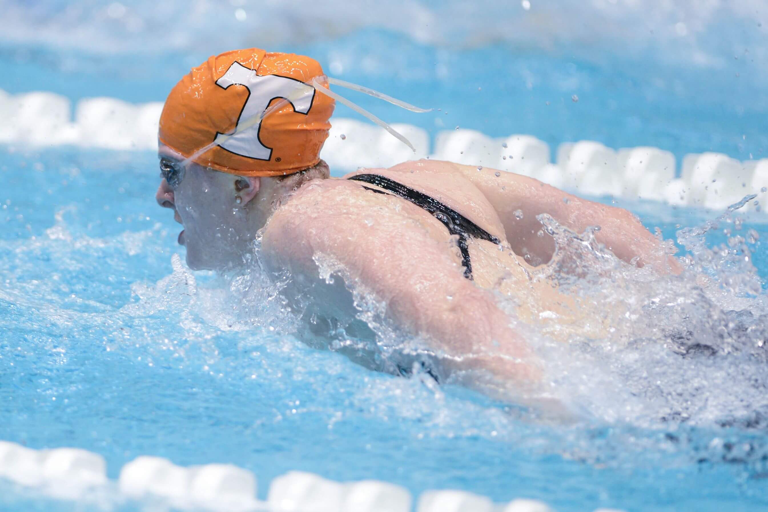 Tennessee Swimming Upends Queens University in Royal Open - Swimming World