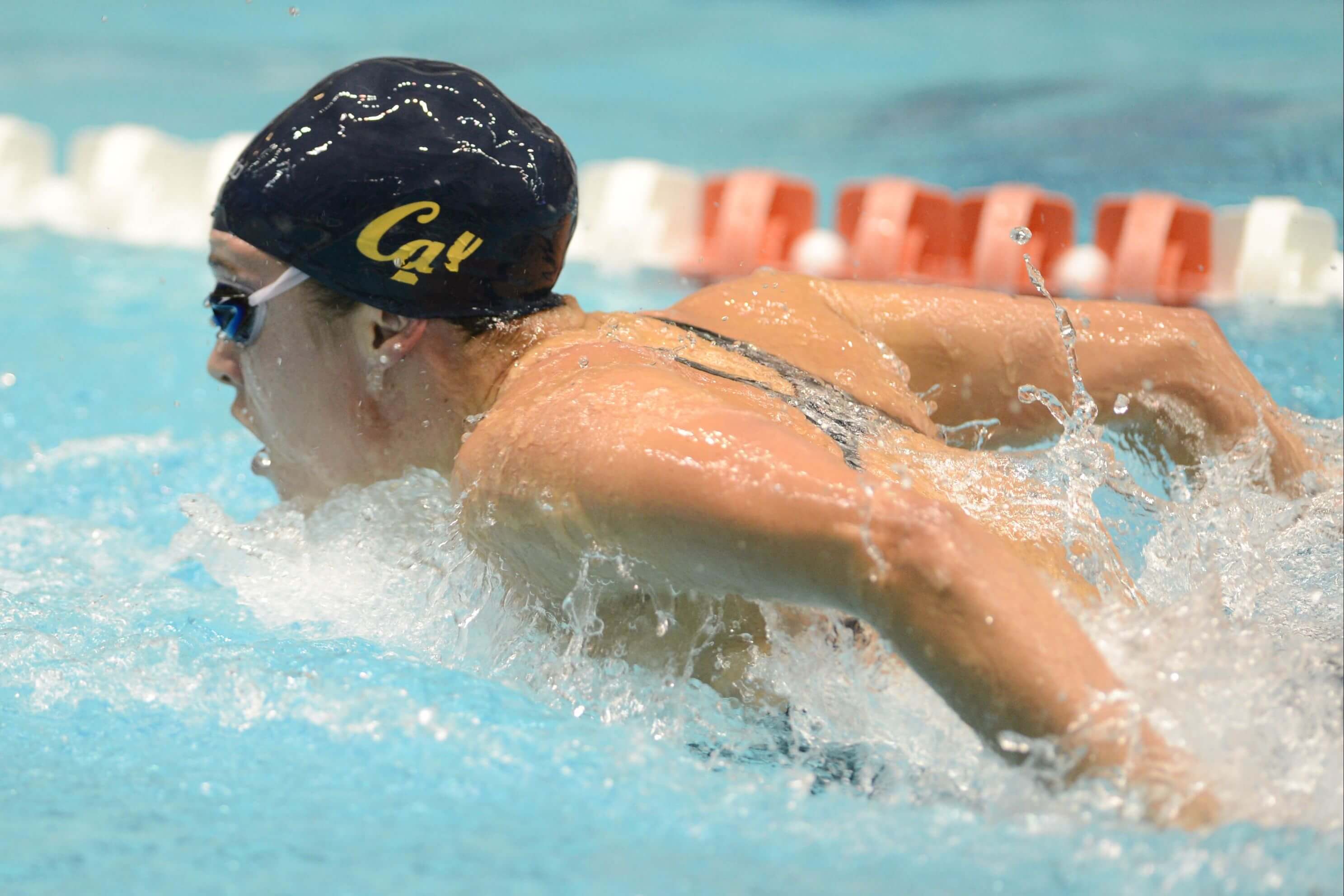 California Women's Swimming Displays Depth in Win Over UCLA