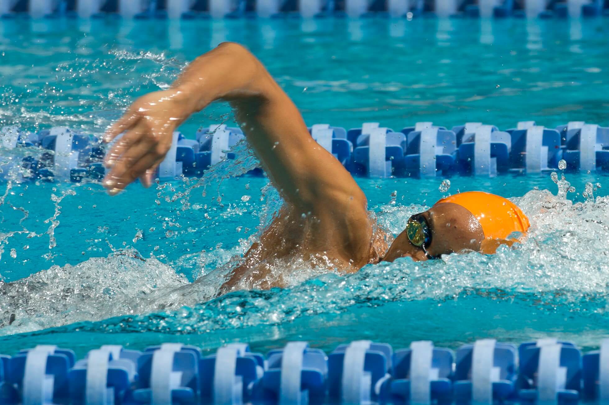 How the Bolles School Became a National High School Swimming Power ...