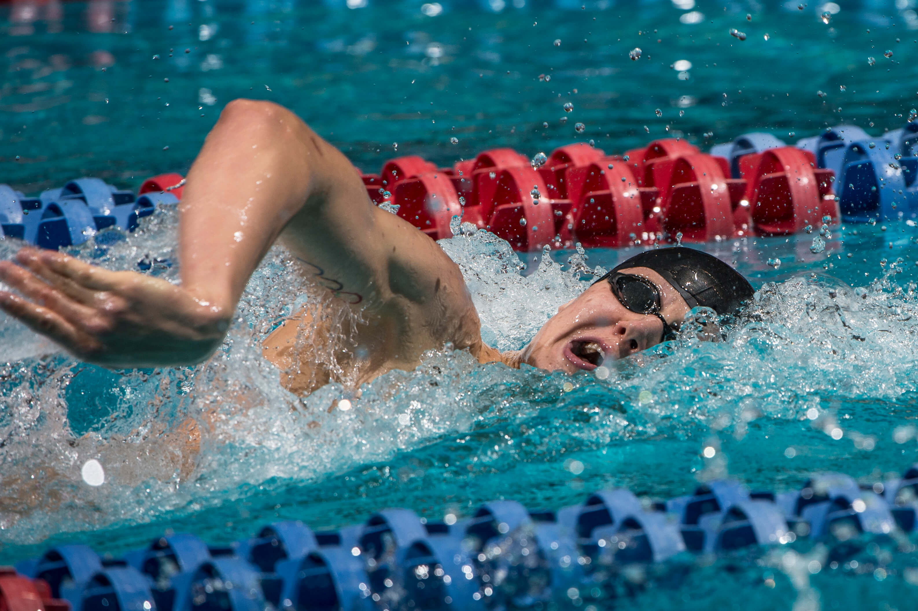 Georgia Swimming and Diving Teams Sweep South Carolina