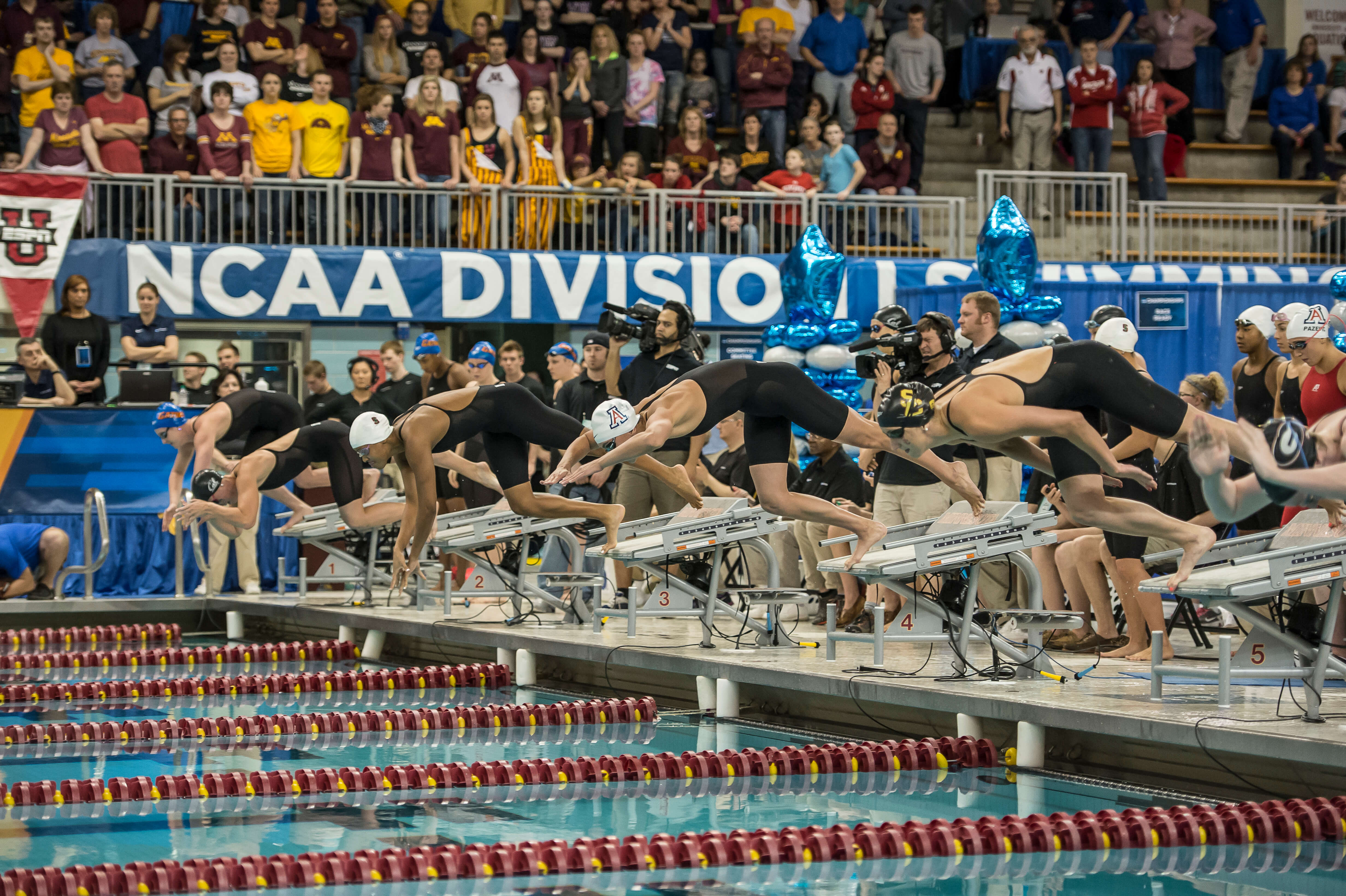 Poll of The Week: Upcoming Swim Meets - Video