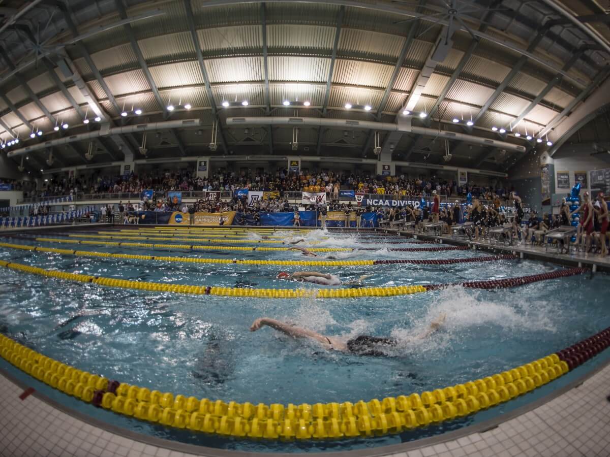 Peter "Bick Pic" of The Day: NCAA DI Women 2014 - Swimming World News