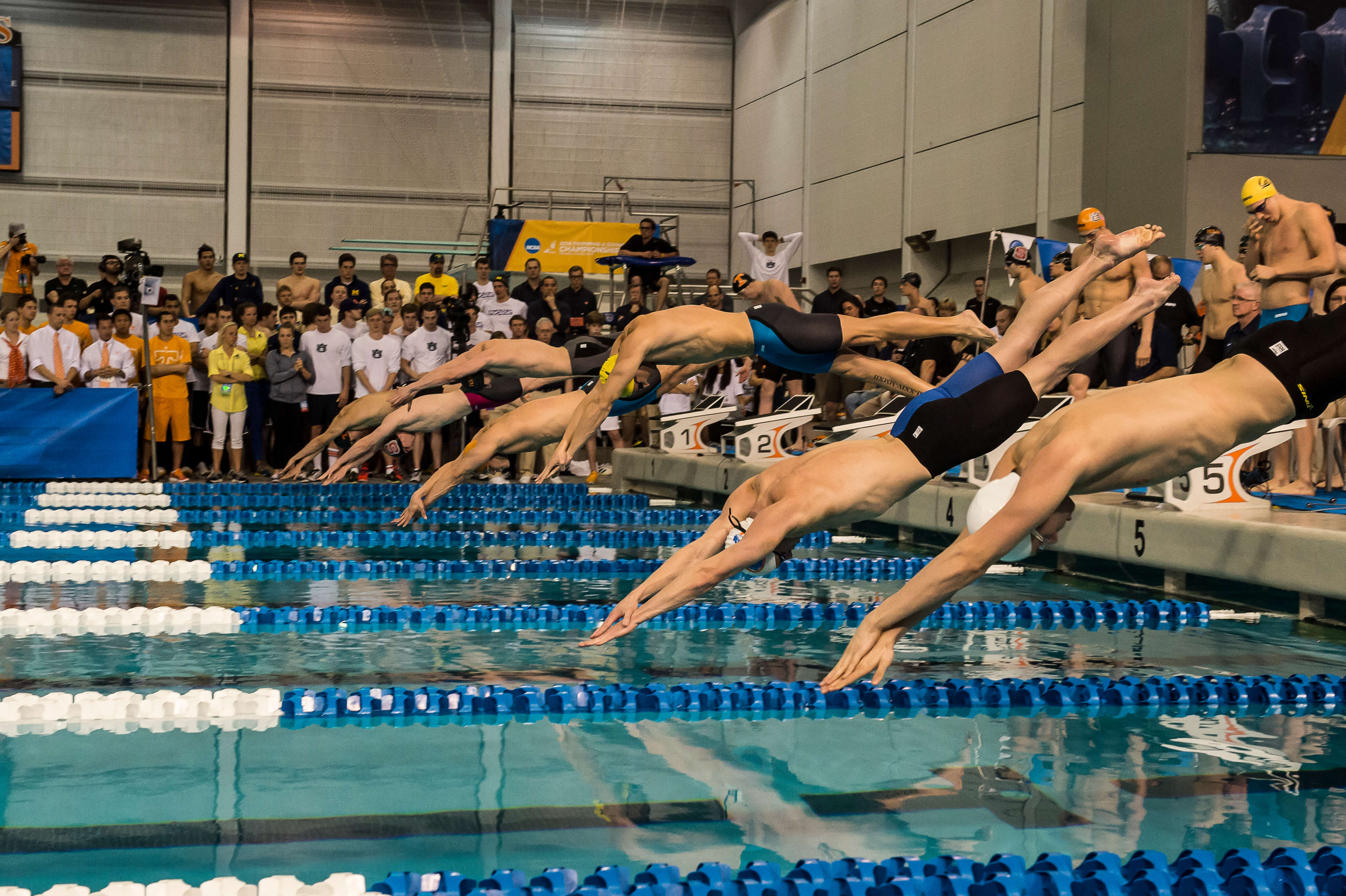 Recruiting Round-Up: SEC, Big Ten Swim Teams Pick Up Verbal Commitments