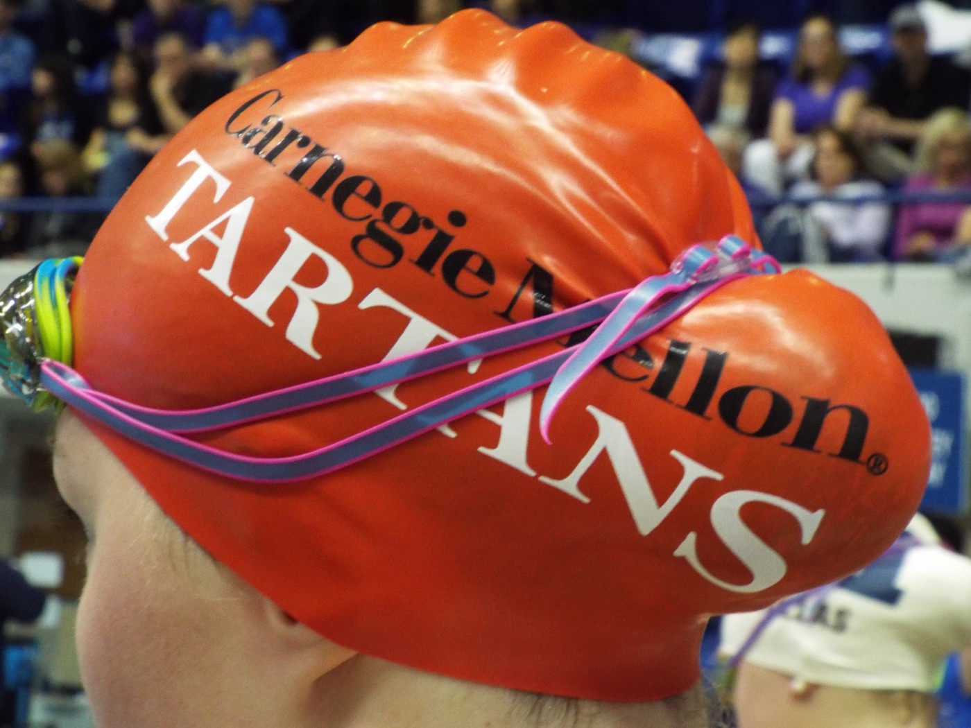 James Sica Named Assistant Swim Coach At Carnegie Mellon