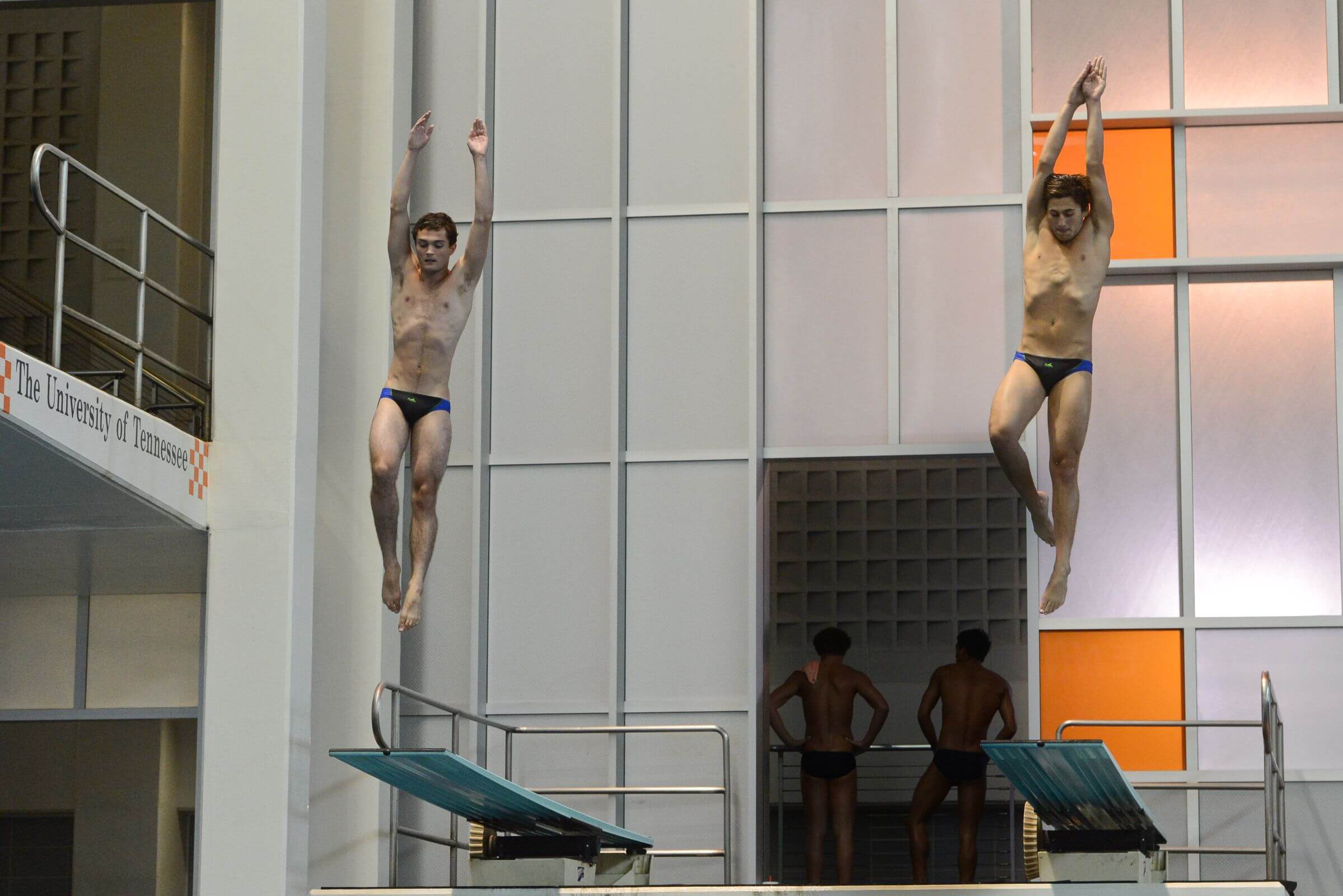 Photo Gallery: USA Diving Junior Nationals - Swimming World News