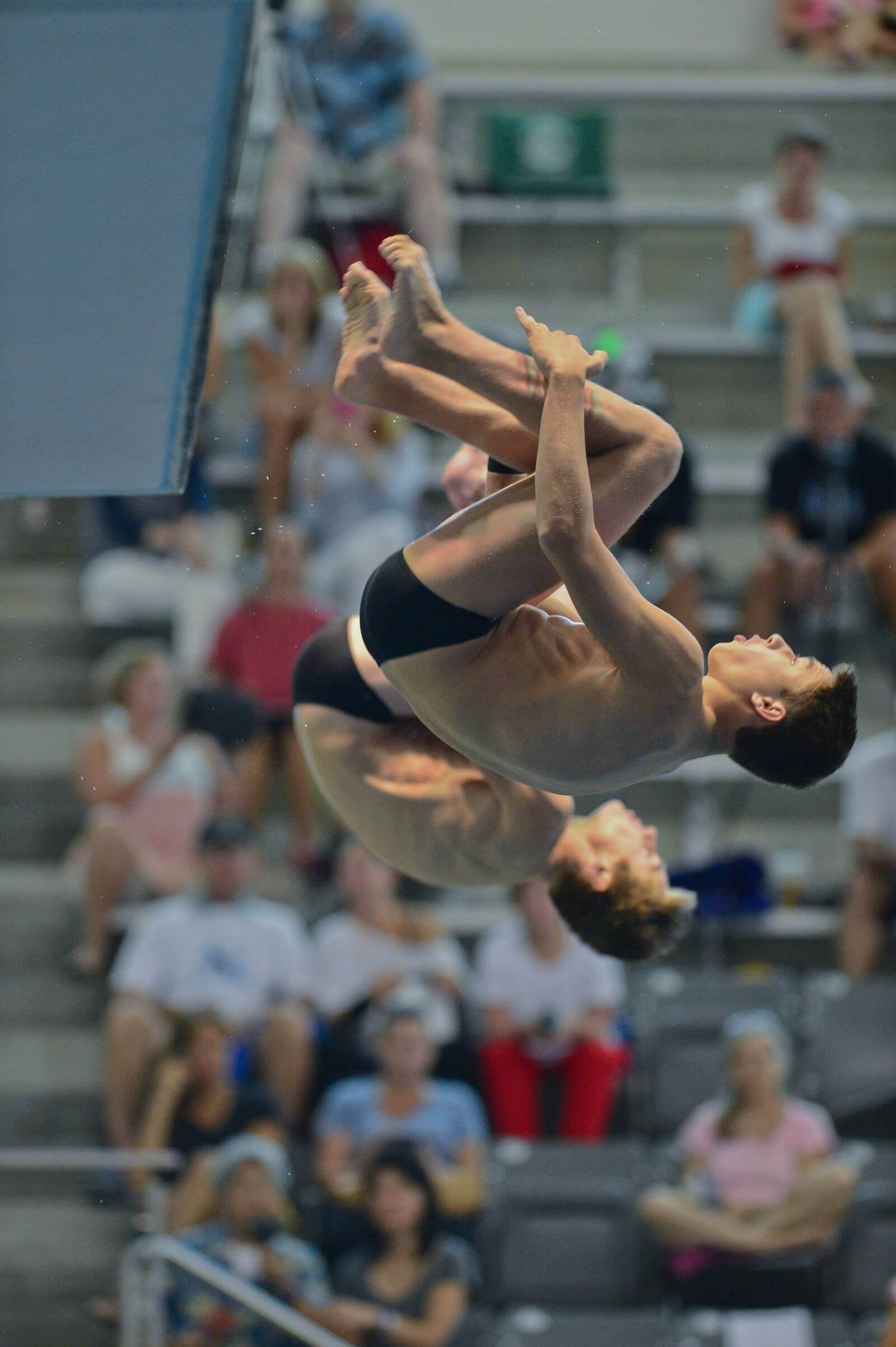 Photo Gallery: USA Diving Junior Nationals - Swimming World