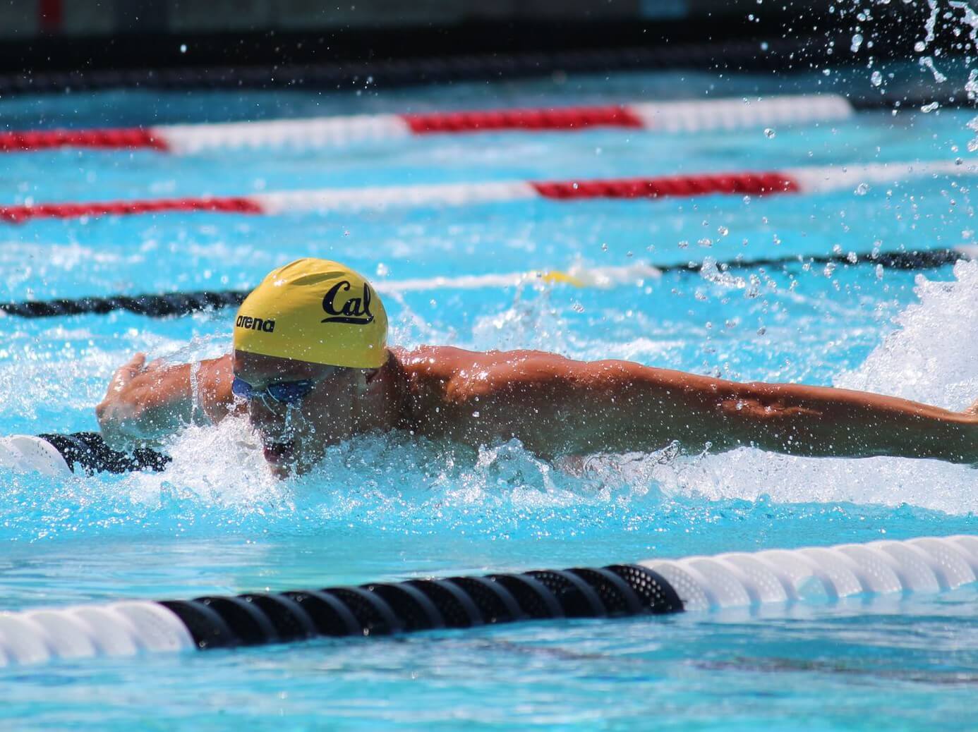 Will Tom Shields Leave Pan Pacs With Double Butterfly Gold? (Medal ...
