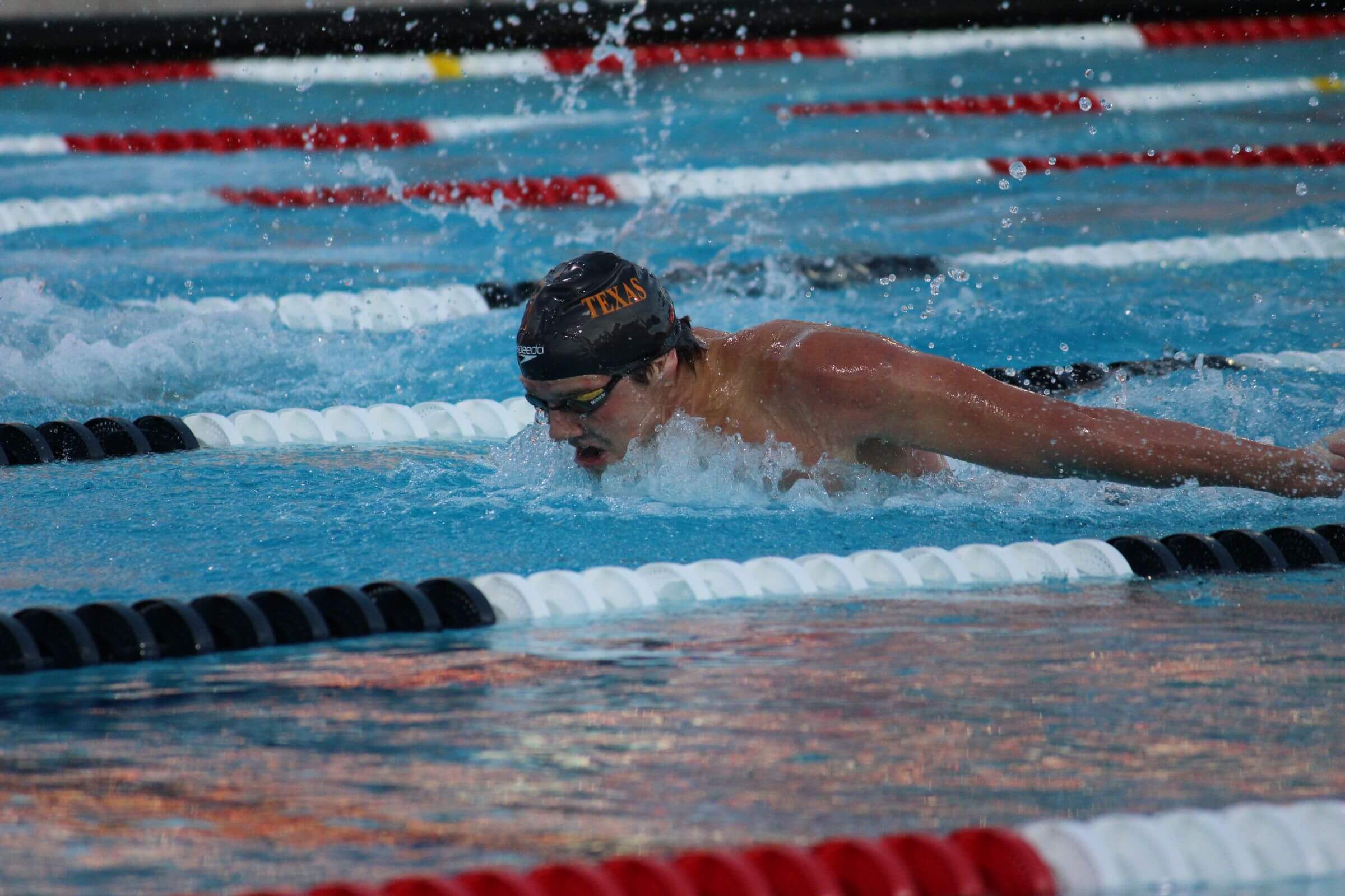 Texas Swimming and Diving Wraps Up Dual Meet Season With Rout Of TCU