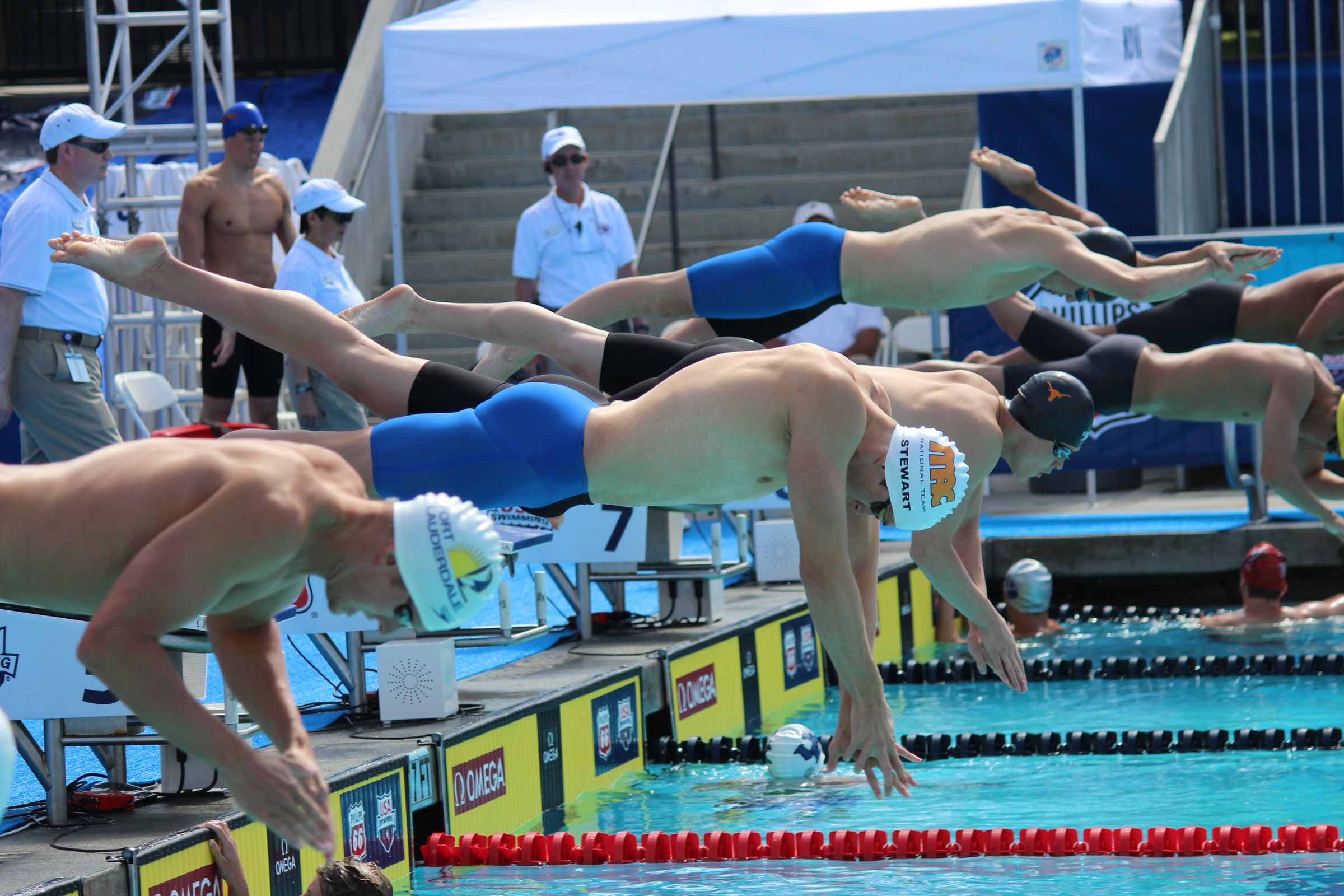 How The International Swimming League Took Flight - Swimming World