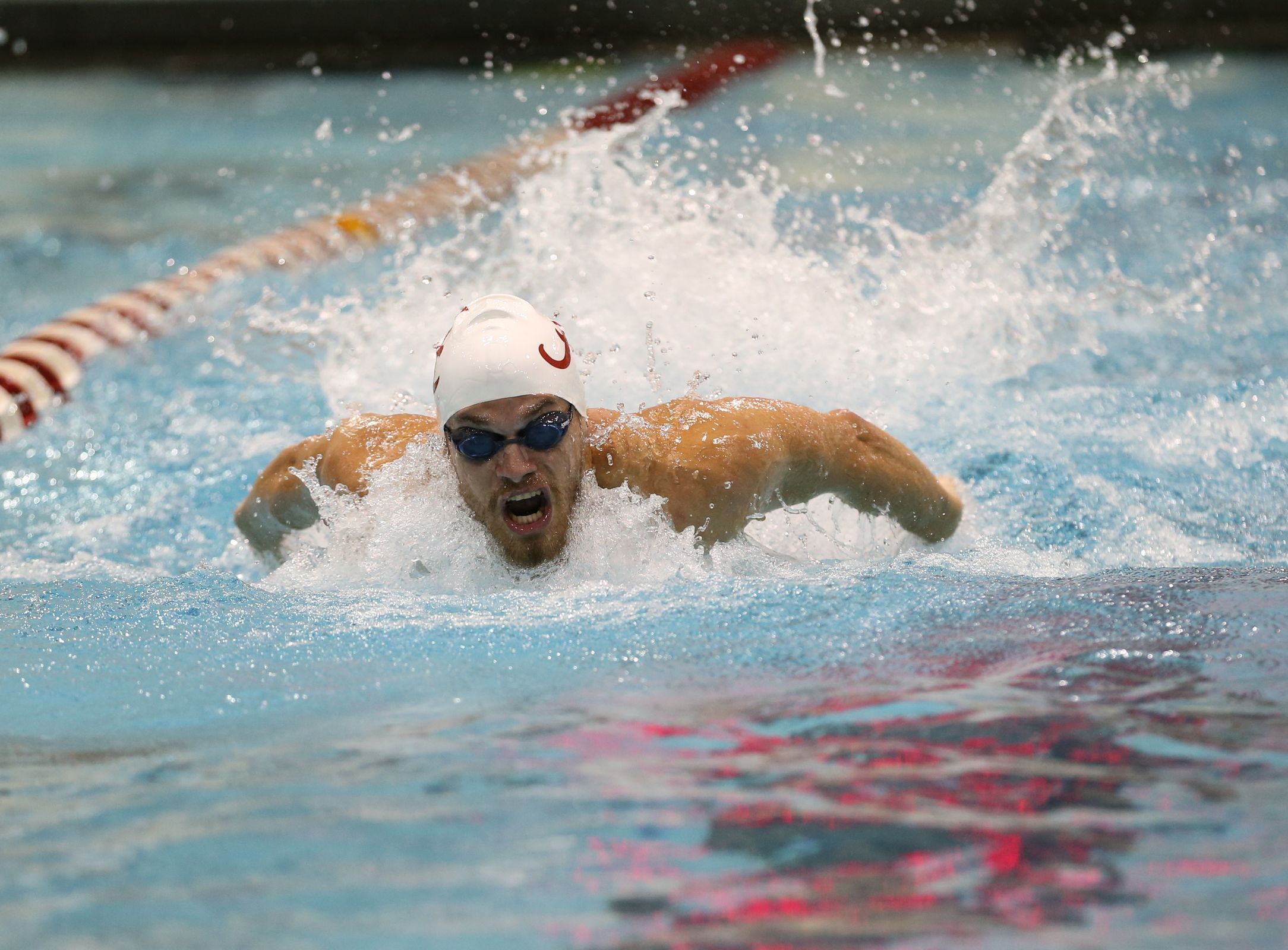 Photo Gallery: Alabama Sweeps Delta State to Open Season - Swimming ...
