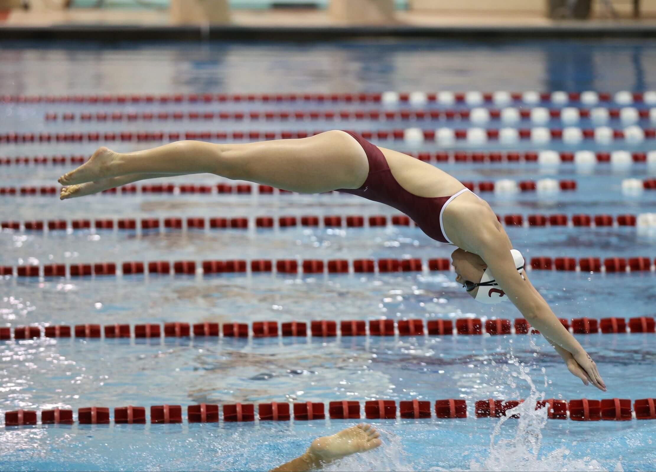 Photo Gallery: Alabama Sweeps Delta State to Open Season - Swimming World