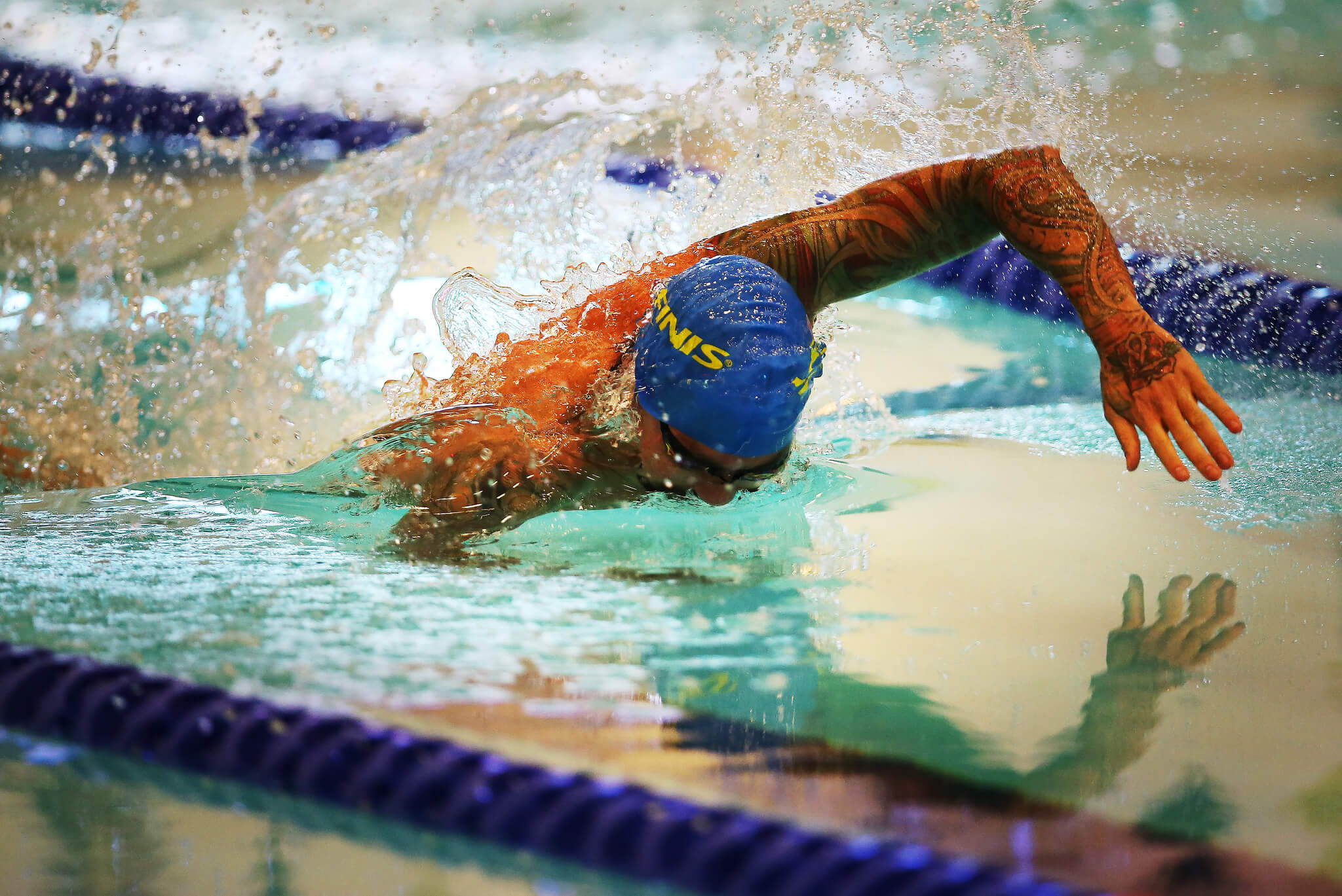 Sprint vs. Distance Swimmers: Who is Superior? - Swimming World