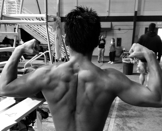 A Look at Swimmer Muscles by Stroke