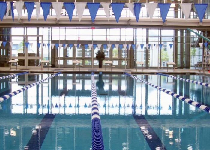 College Swim Tests from the Eyes of A Doggie Paddler