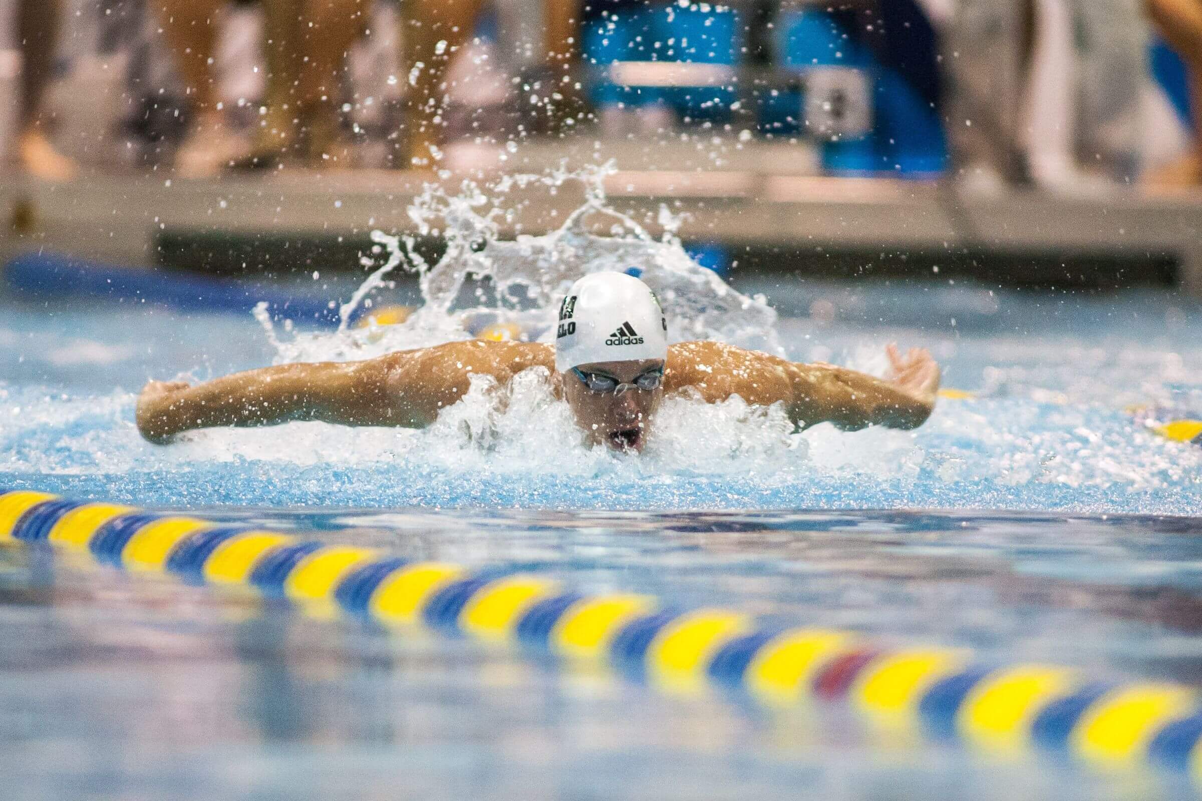 Arizona Gold Men and Fort Collins Women Win Austin Speedo Sectionals - Swimming World