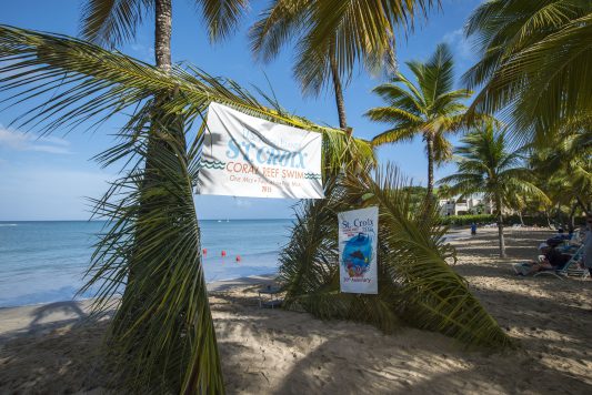 Alex Kostich Wins His 19th St. Croix’s Coral Reef Swim in 25th Edition