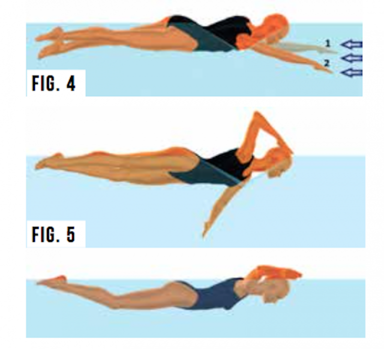 Swimming Technique Misconceptions: Arm Entry - Swimming World