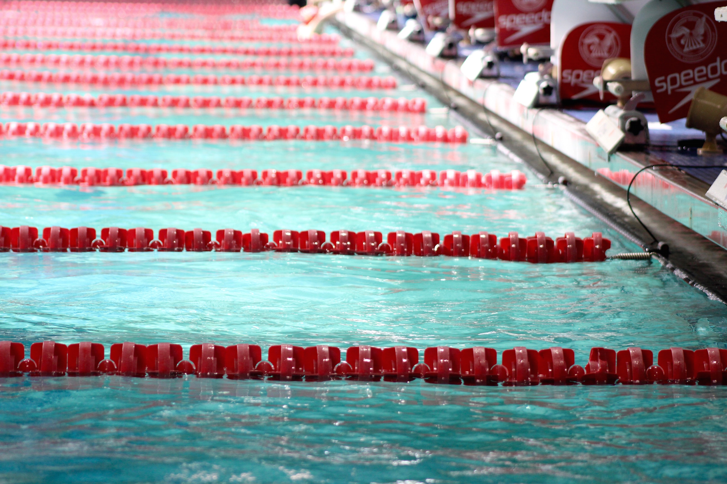 5 Reasons to Love Spring Training - Swimming World