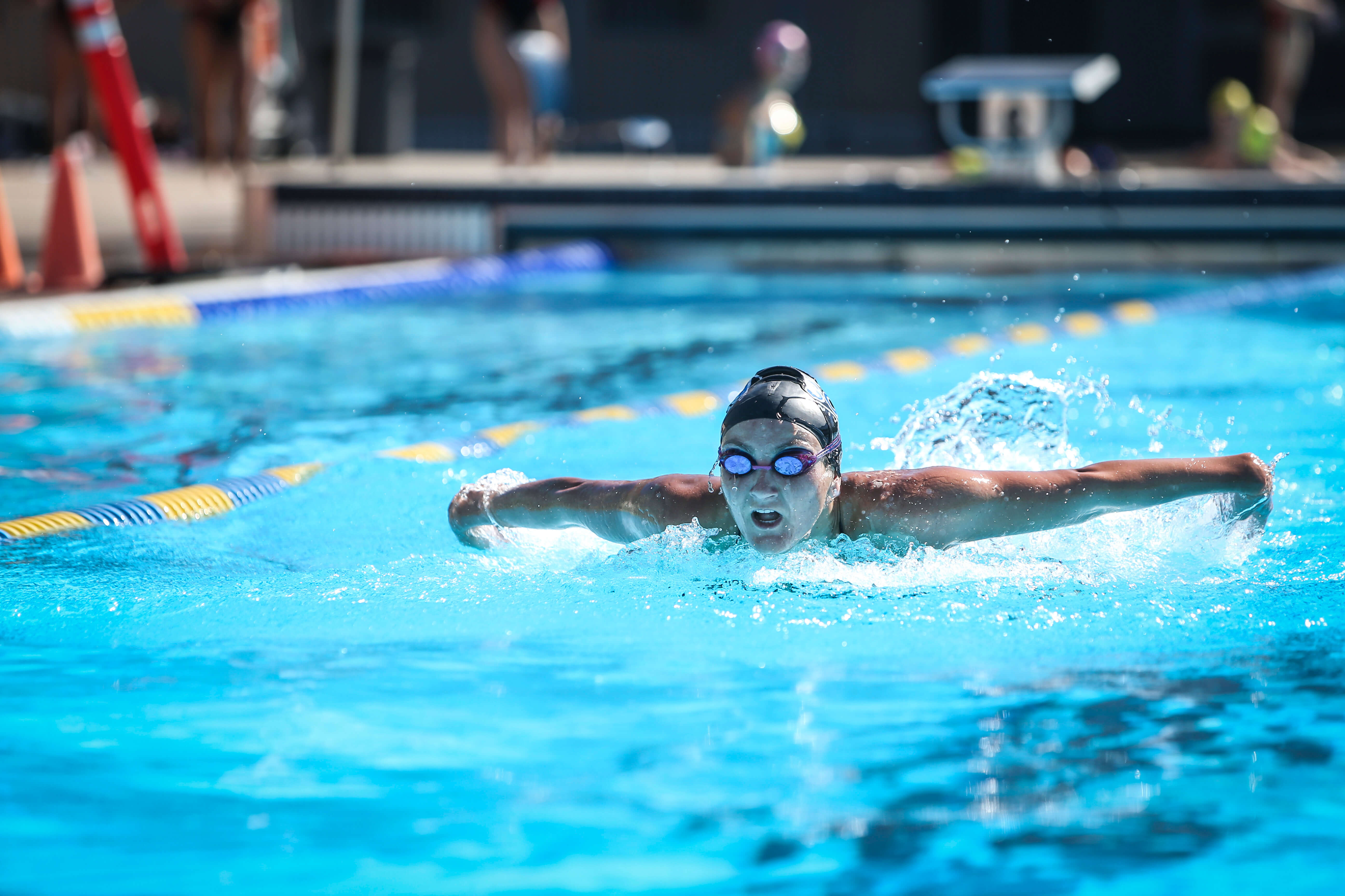 Finding Sanctuary in the Pool
