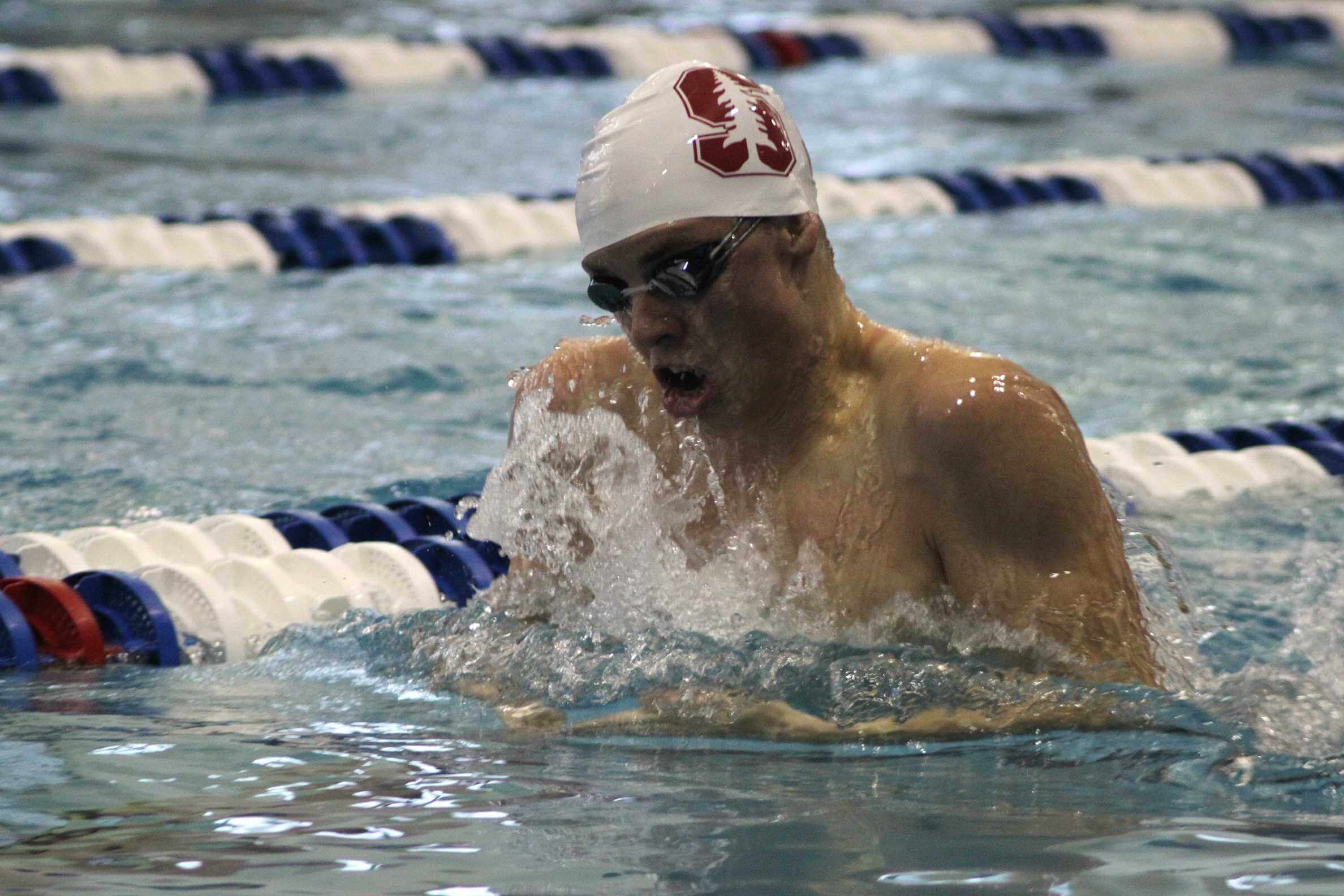 Stanford's Matt Anderson Named Pac-12 Men's Swimming and Diving Scholar ...