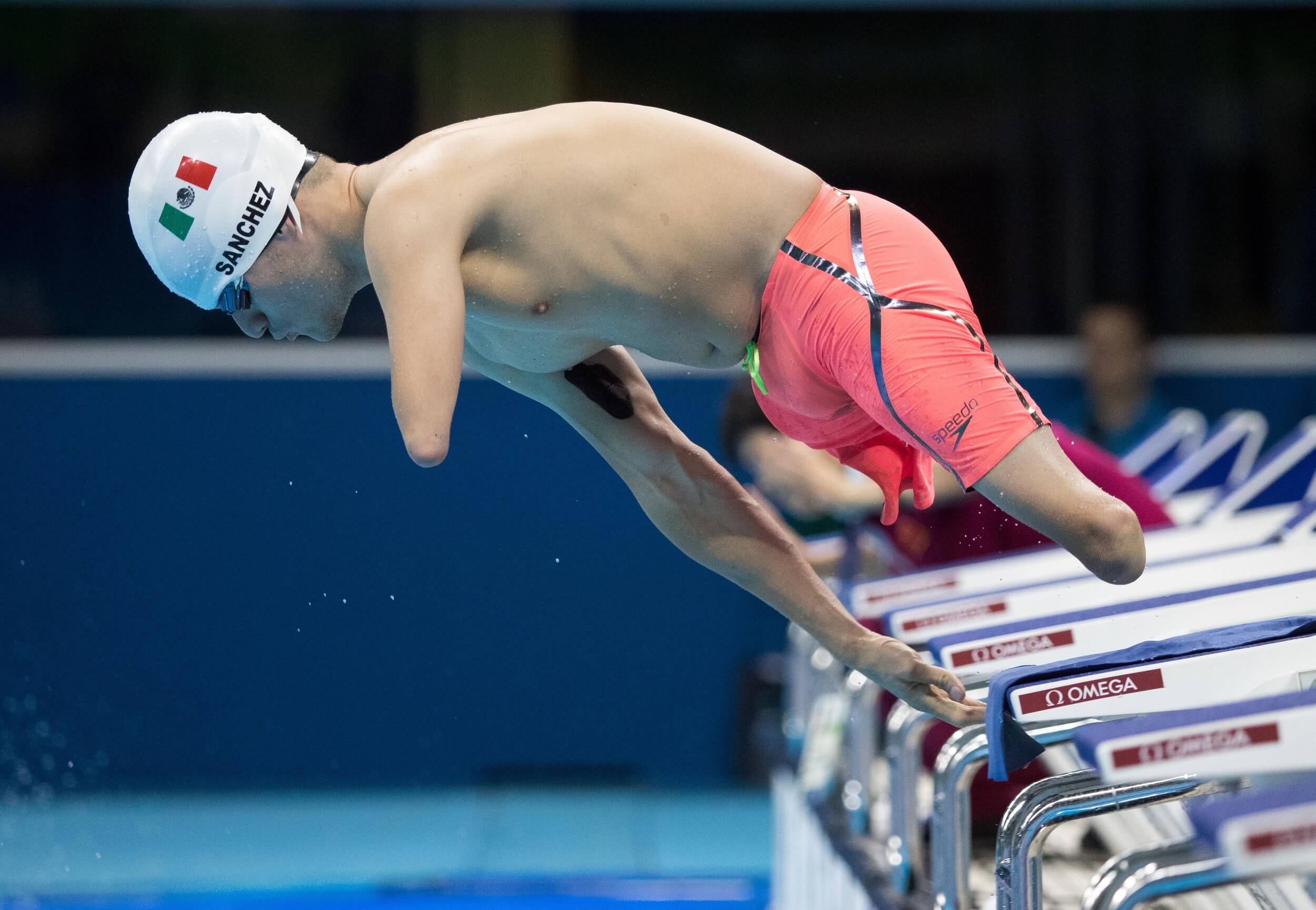 Up on Deck: Inside the World of Swim Officials - Swimming World