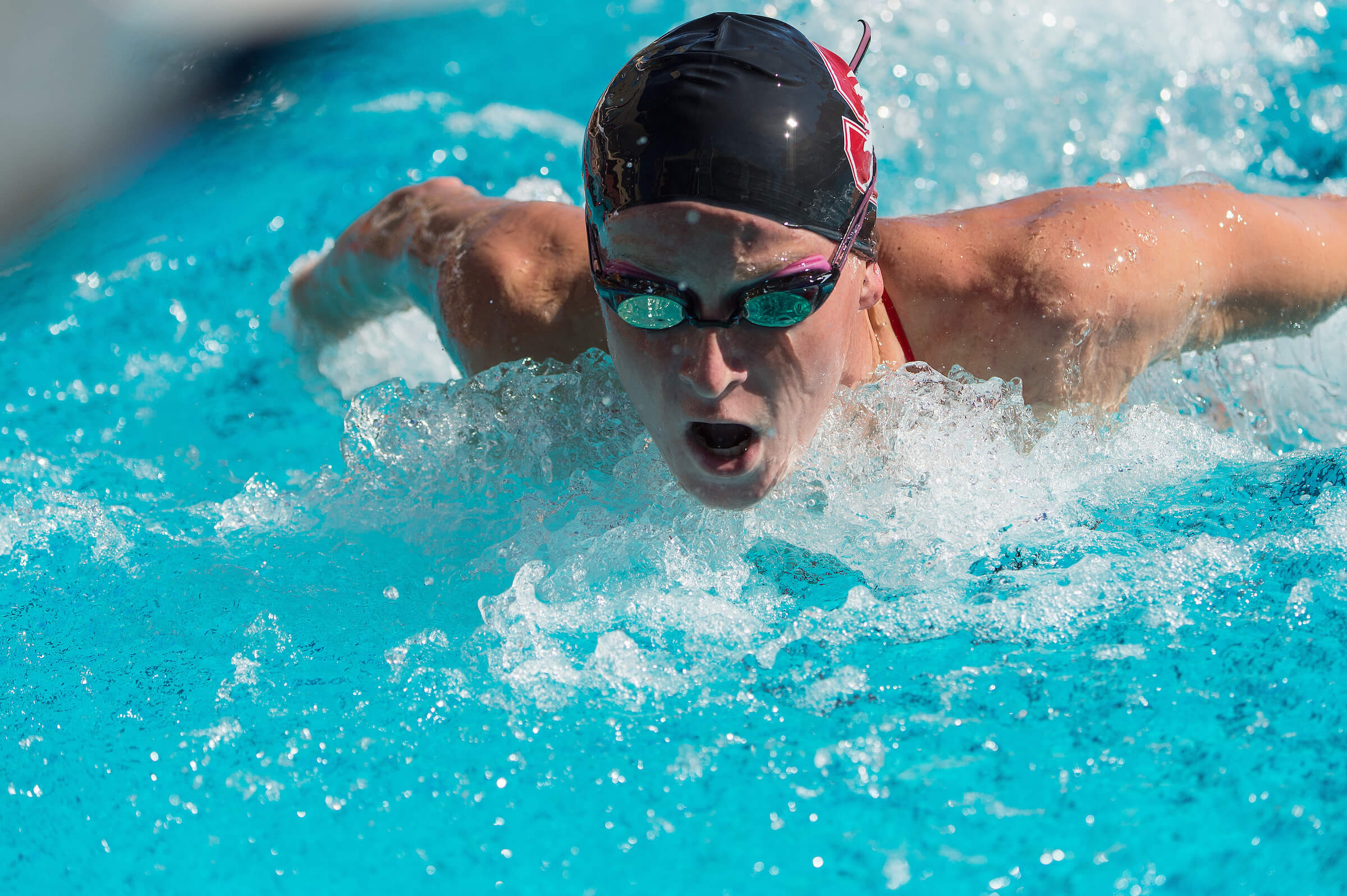 Pac-12 Saturday Recap: Stanford Beats USC; Cal Tops UCLA - Swimming World