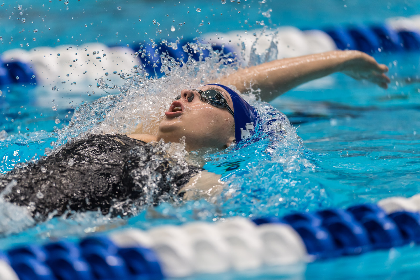 Ohio State Women, Kentucky Men Ahead in Dual - Swimming World