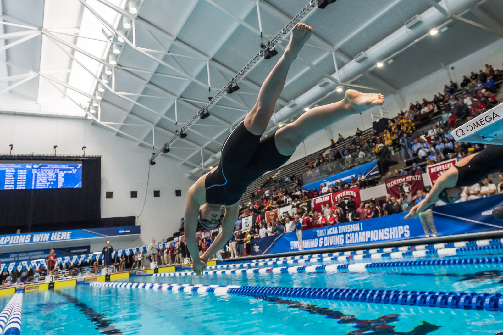 Who are the Top 25 Women's Swimmers in the 2017-2018 NCAA Season ...