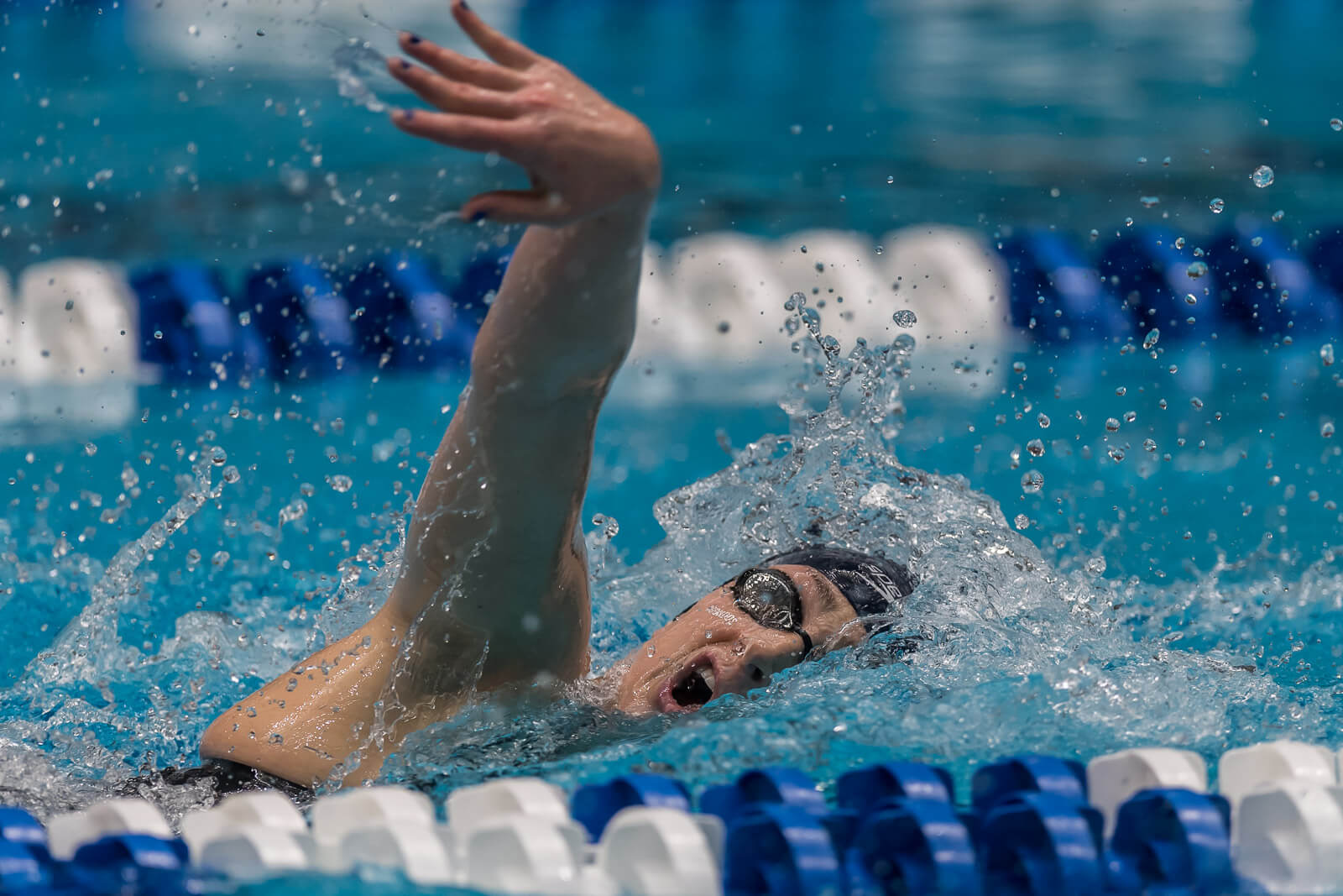Why You Should Follow the NCAA Swim Meet