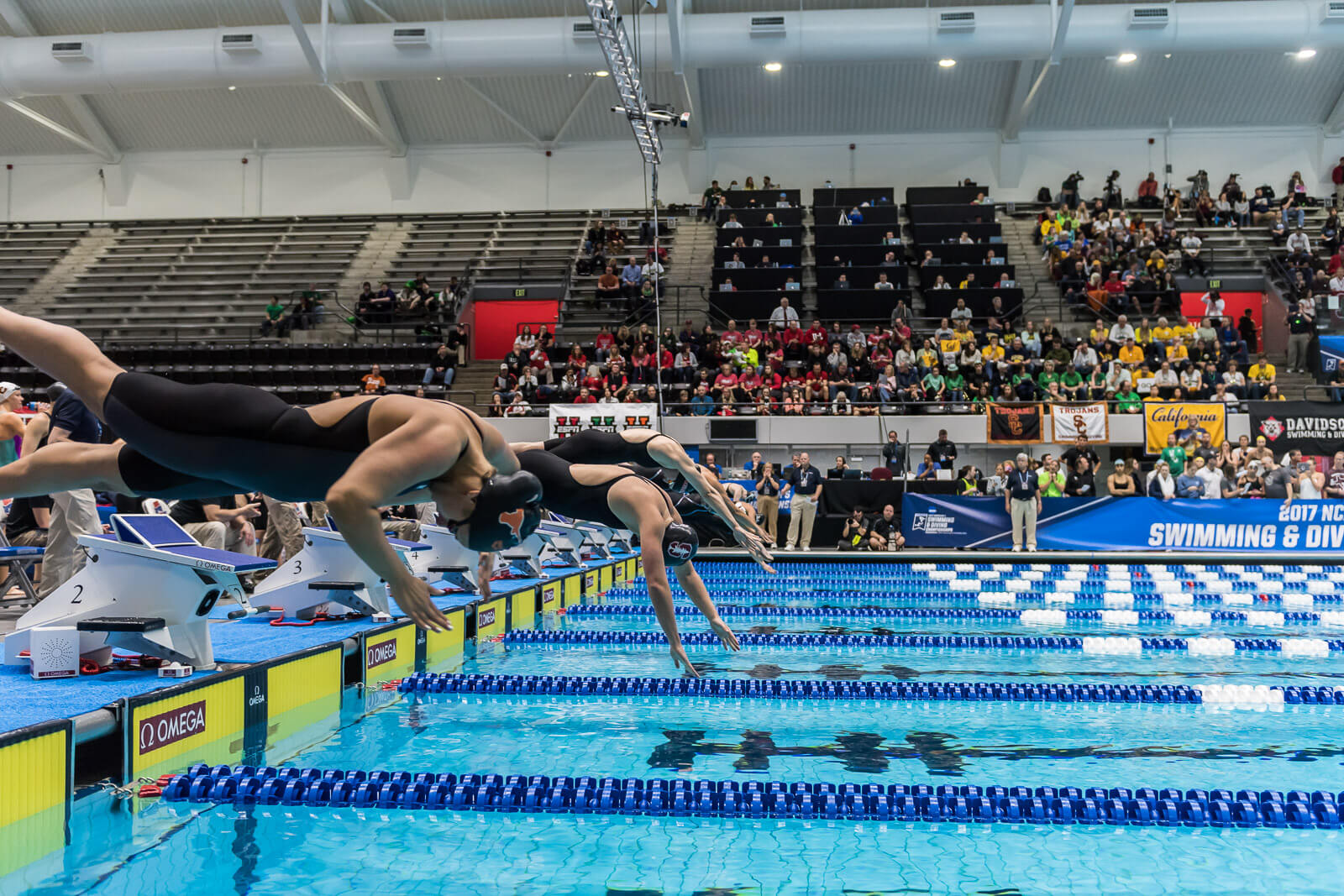 California Wins Three Events on Night 3 of NCAA Women's DI Swimming and ...