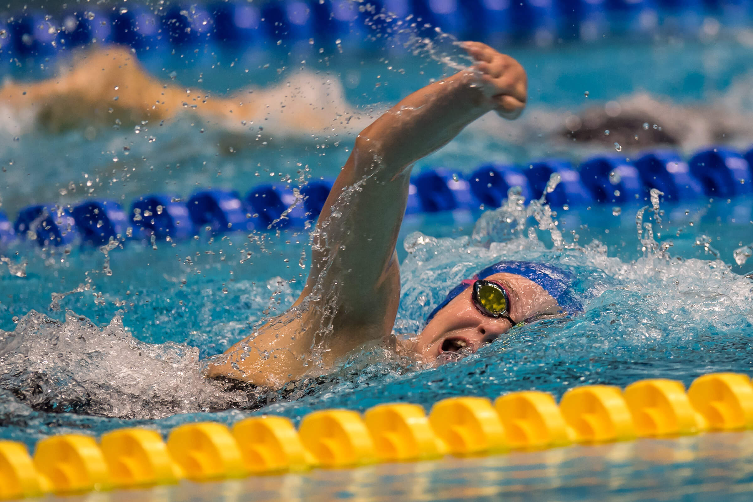 Nation's Capital Swim Club to Welcome Team Back to Practice Under ...