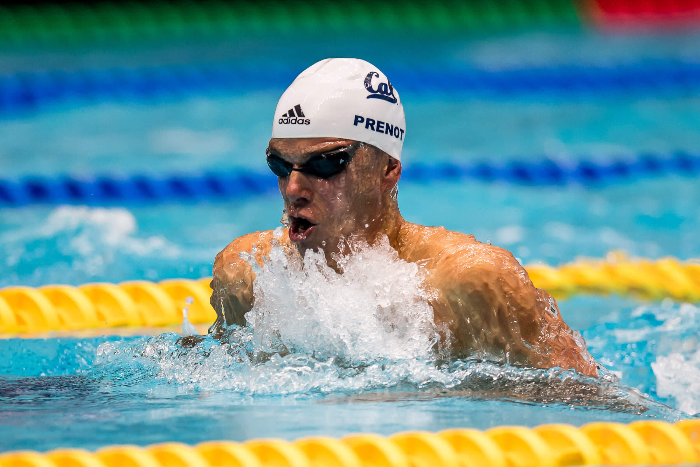 Josh Prenot Paces Quick 200 IM Heats - Swimming World