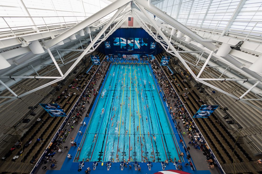 The Positives/Negatives of Swimming Short Course Yards