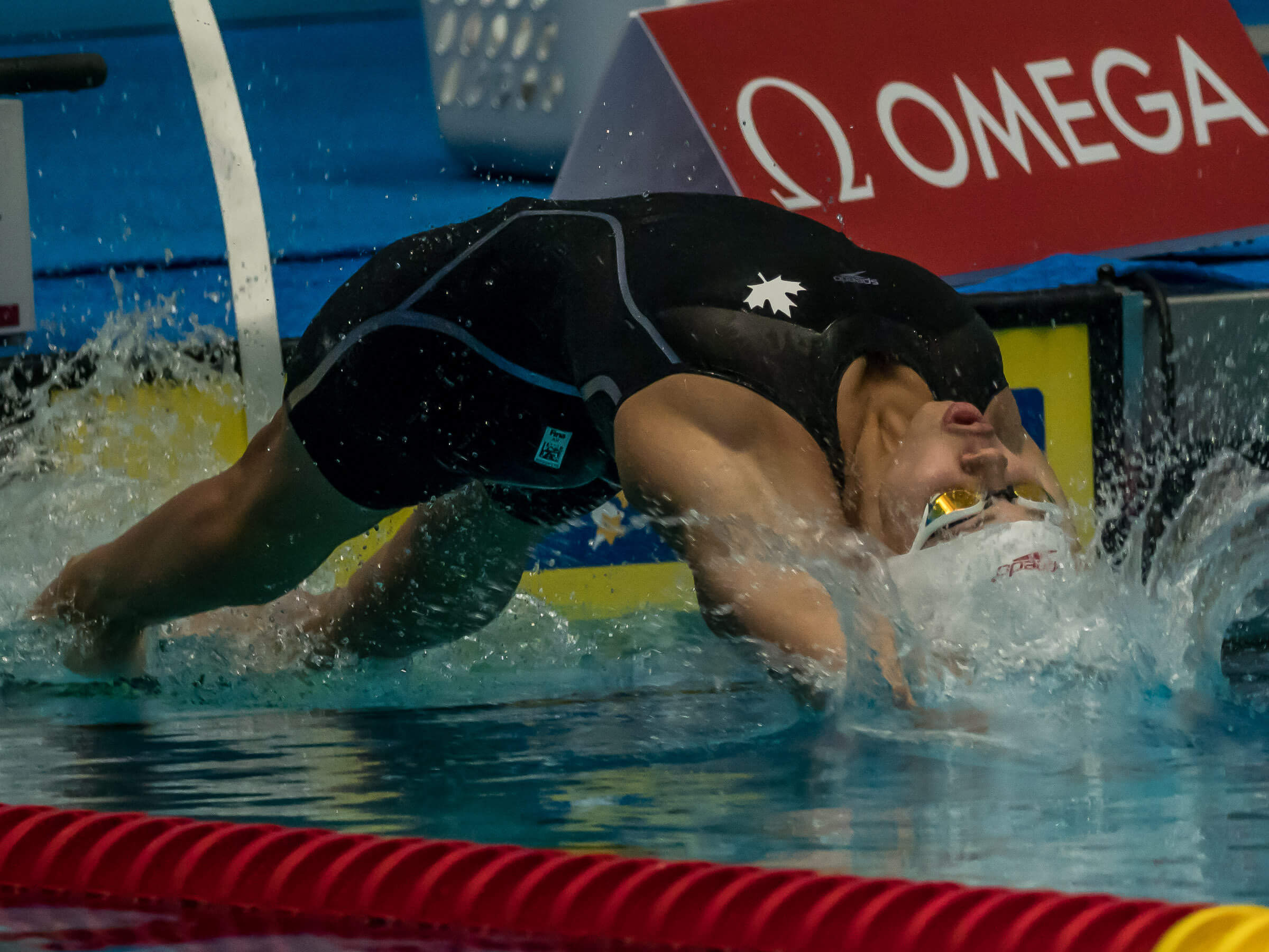 The Evolution of Backstroke