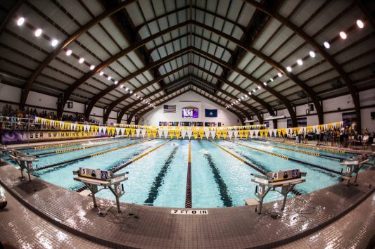 LSU Swimming Splits with Missouri; Women Win 151-149