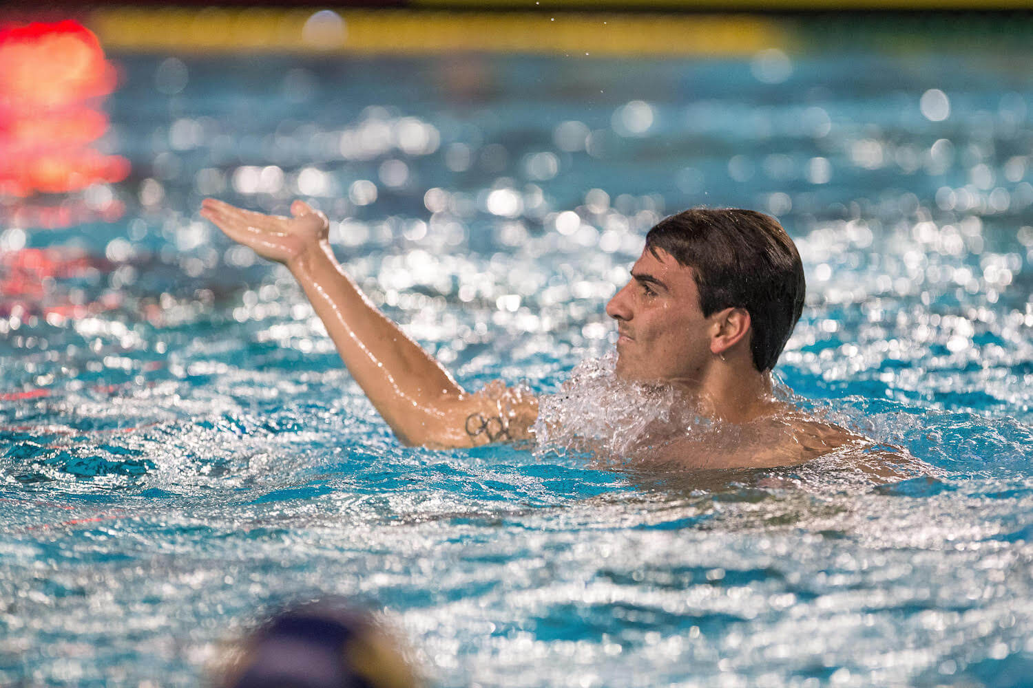 Five Questions with Cal Water Polo’s Luca Cupido - Swimming World