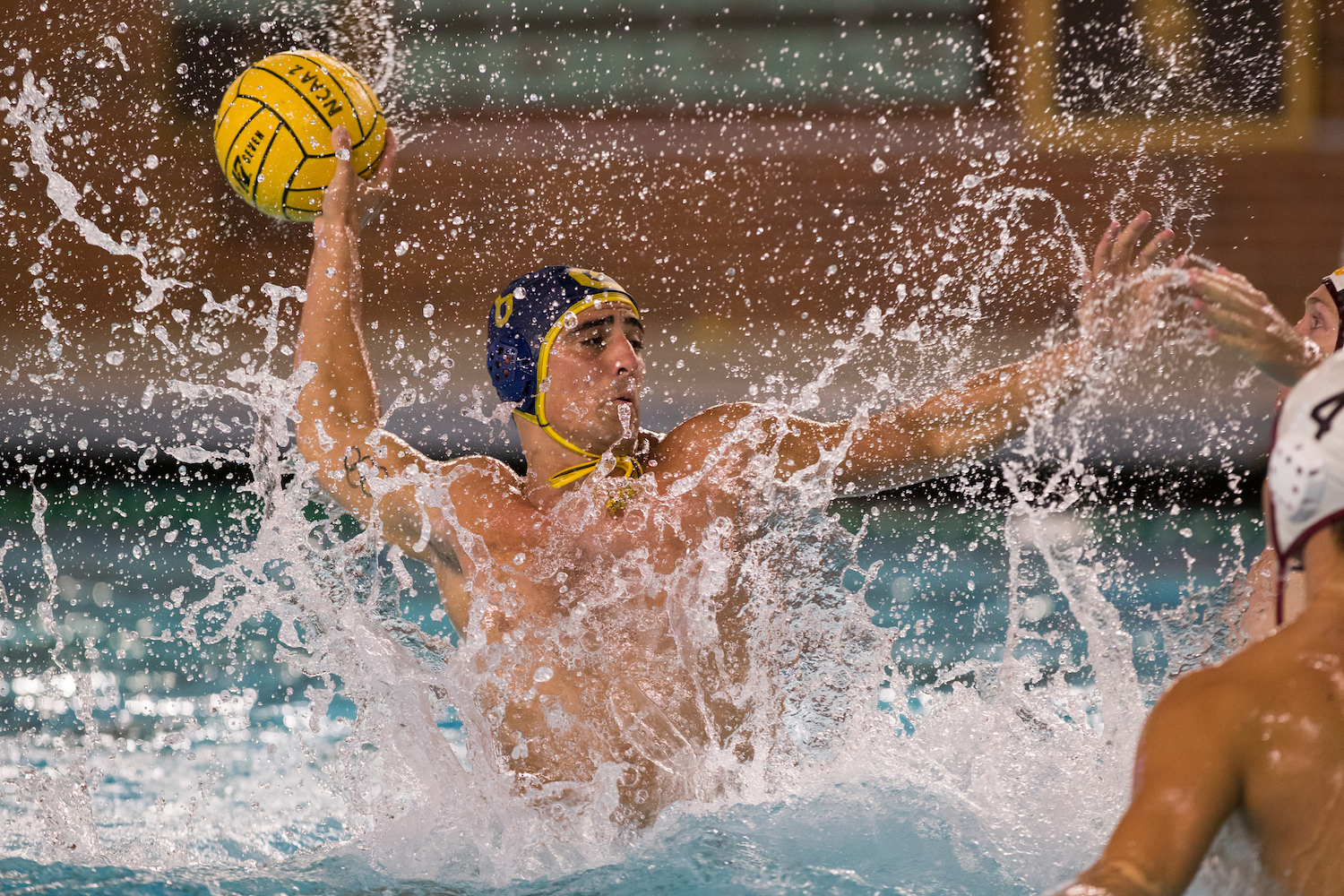 A Match Made in Water Polo Heaven: Luca Cupido to Train with Pro Recco ...