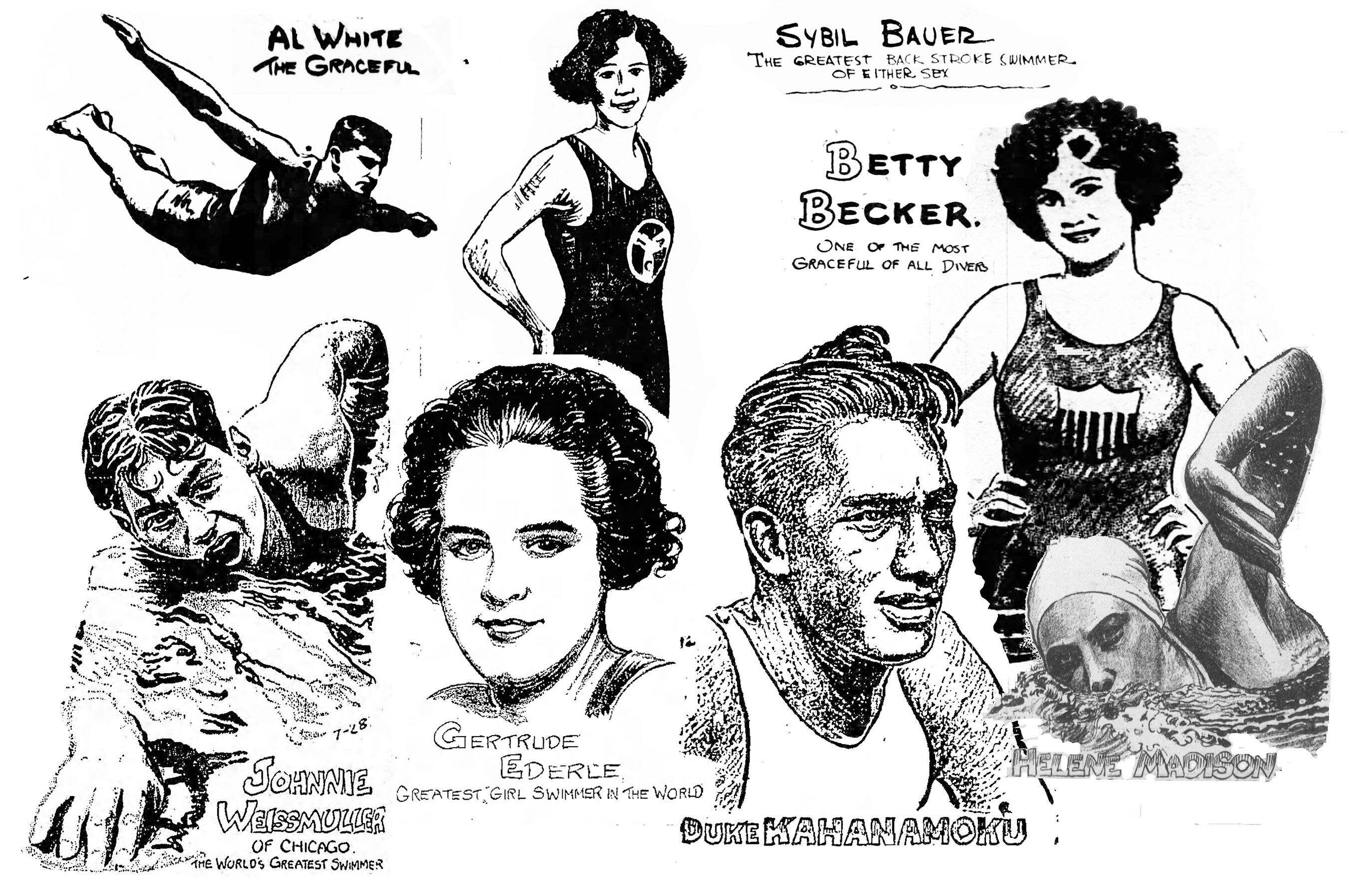 Heroes of Swimming History Remembered In Cartoon Art - Swimming World