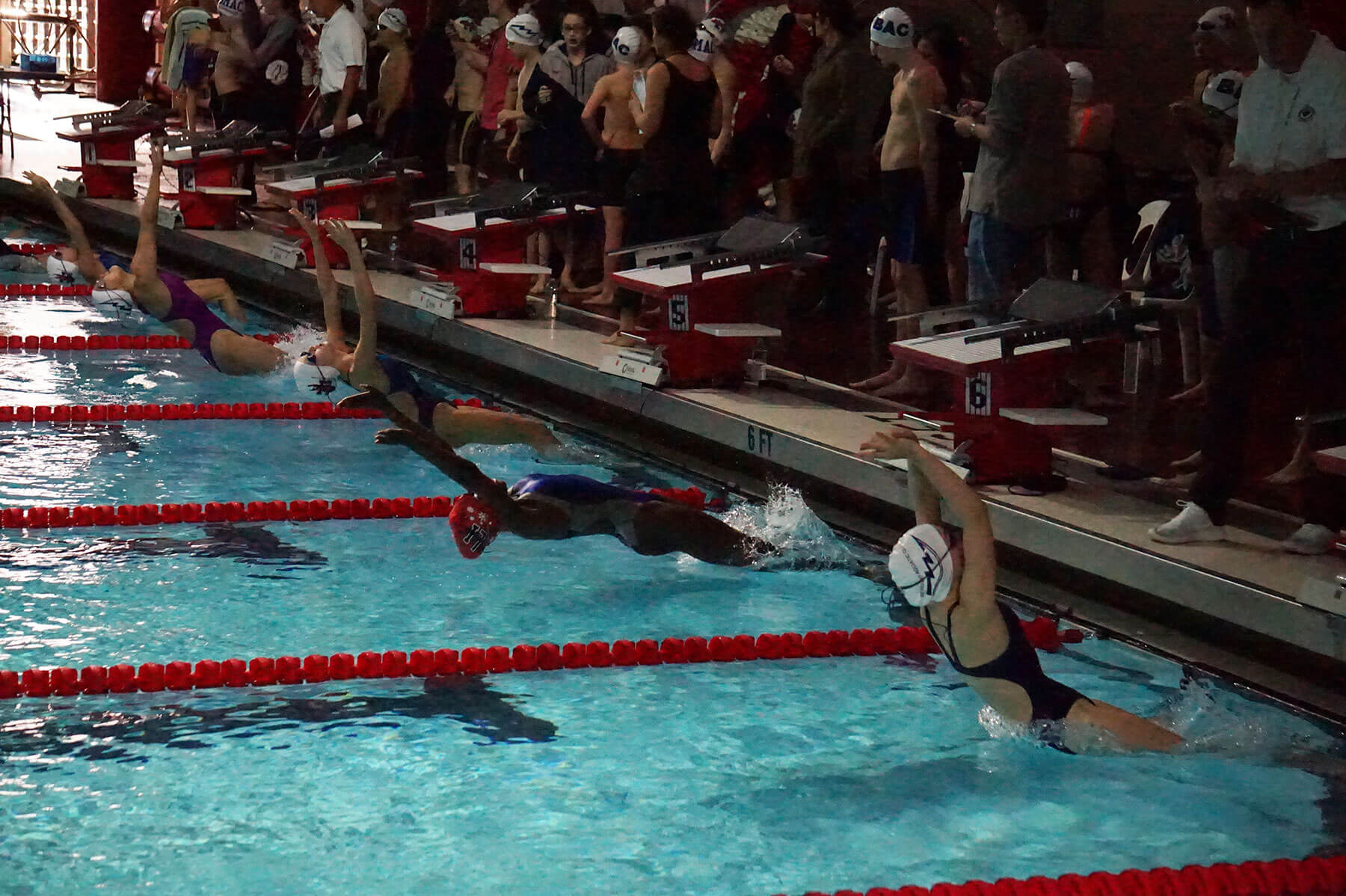 Age Groupers Shine in Timed Finals at Speedo Winter Invitational ...
