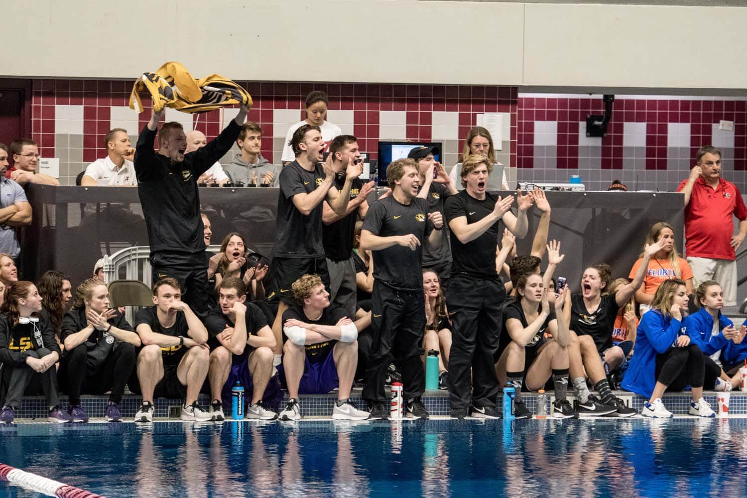 Missouri Swimming Breaks 8 Pool Records in Win over Missouri State