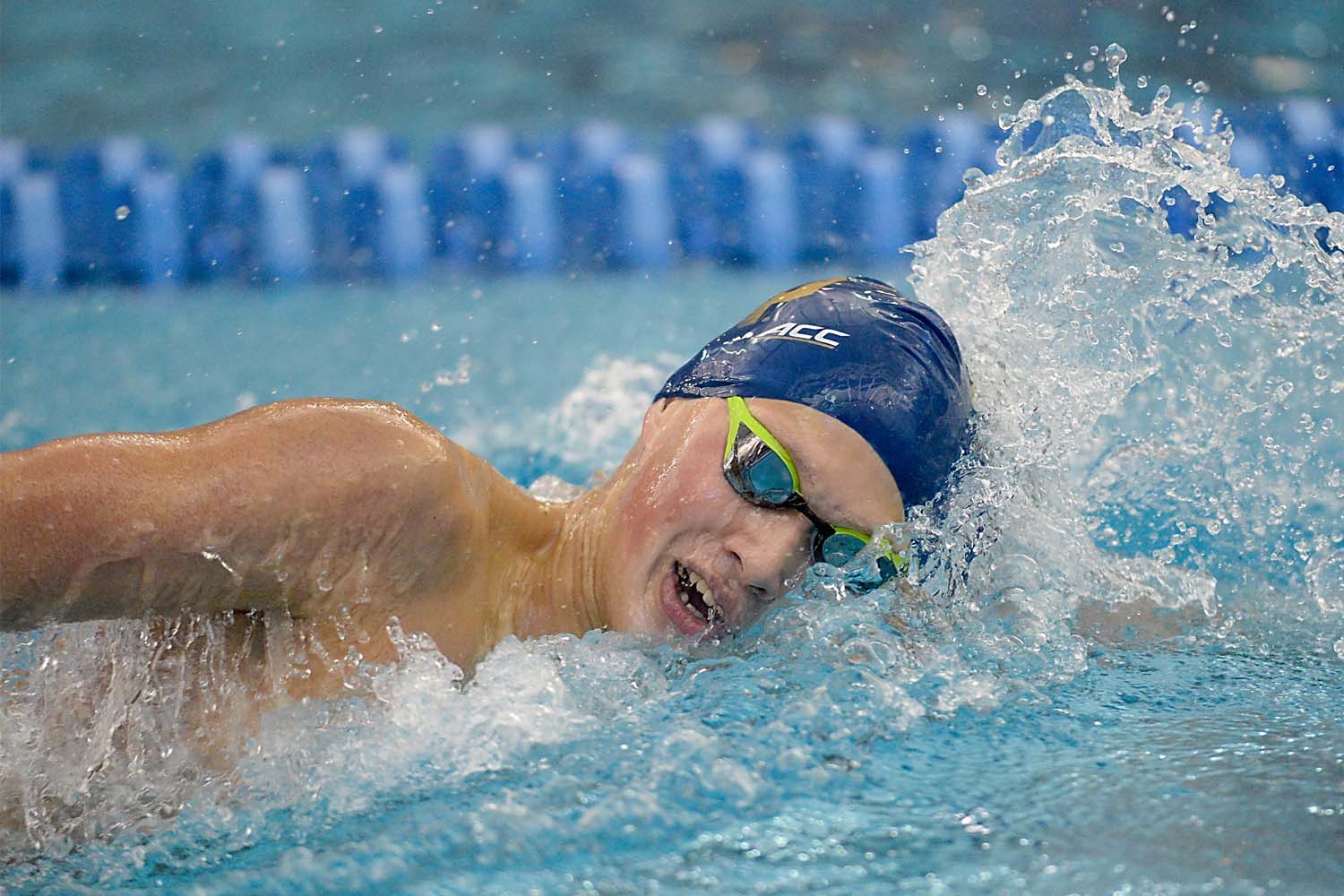 Notre Dame Sets Two Pool Records in Sweeping Northwestern