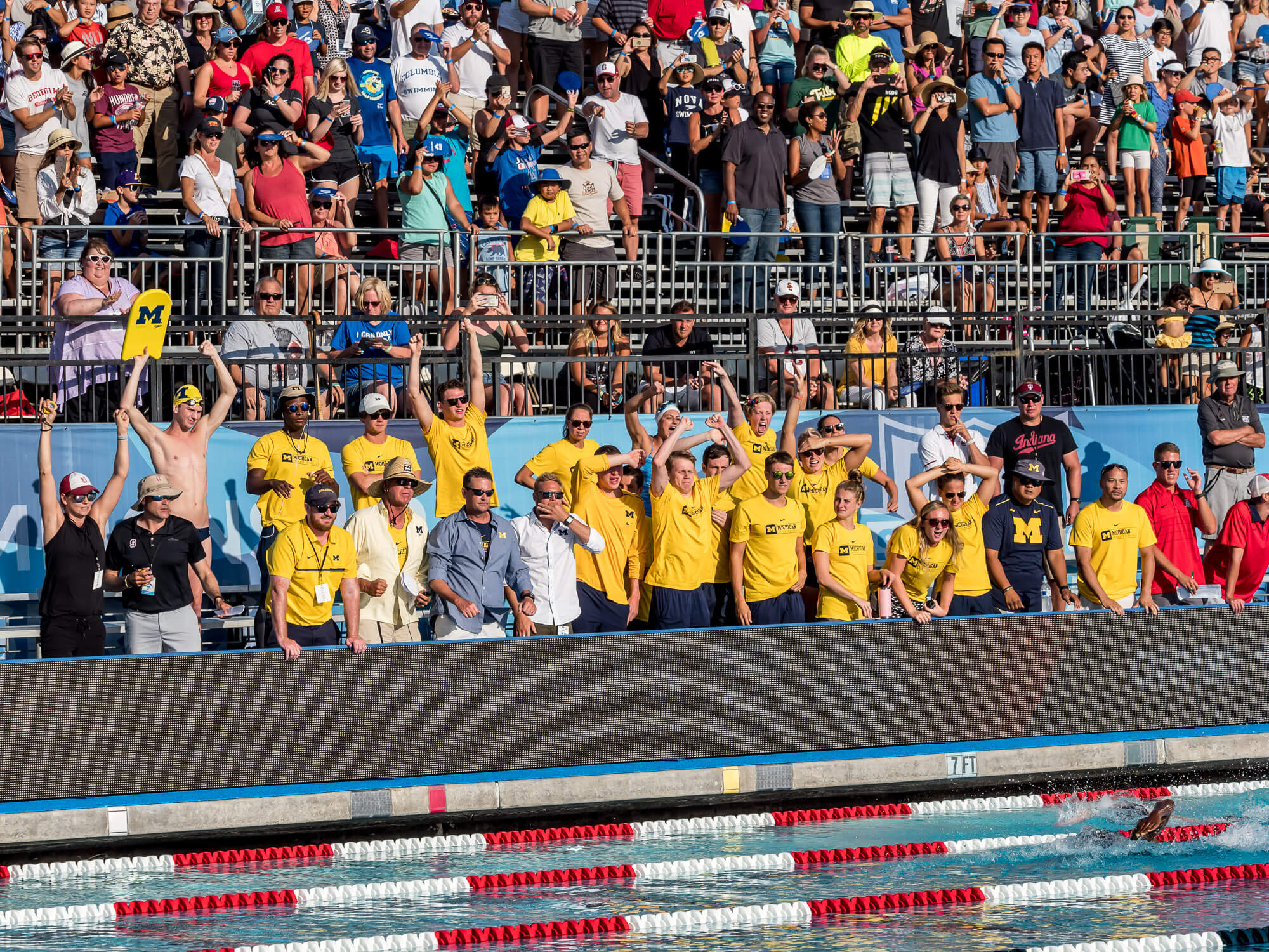 Ali DeLoof and Olivia Smoliga Lead 50 Back Prelims at Nationals ...