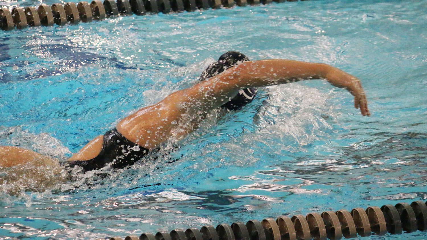 Eight Women's Swimmers to Watch at NCAA Division II Swimming and Diving ...