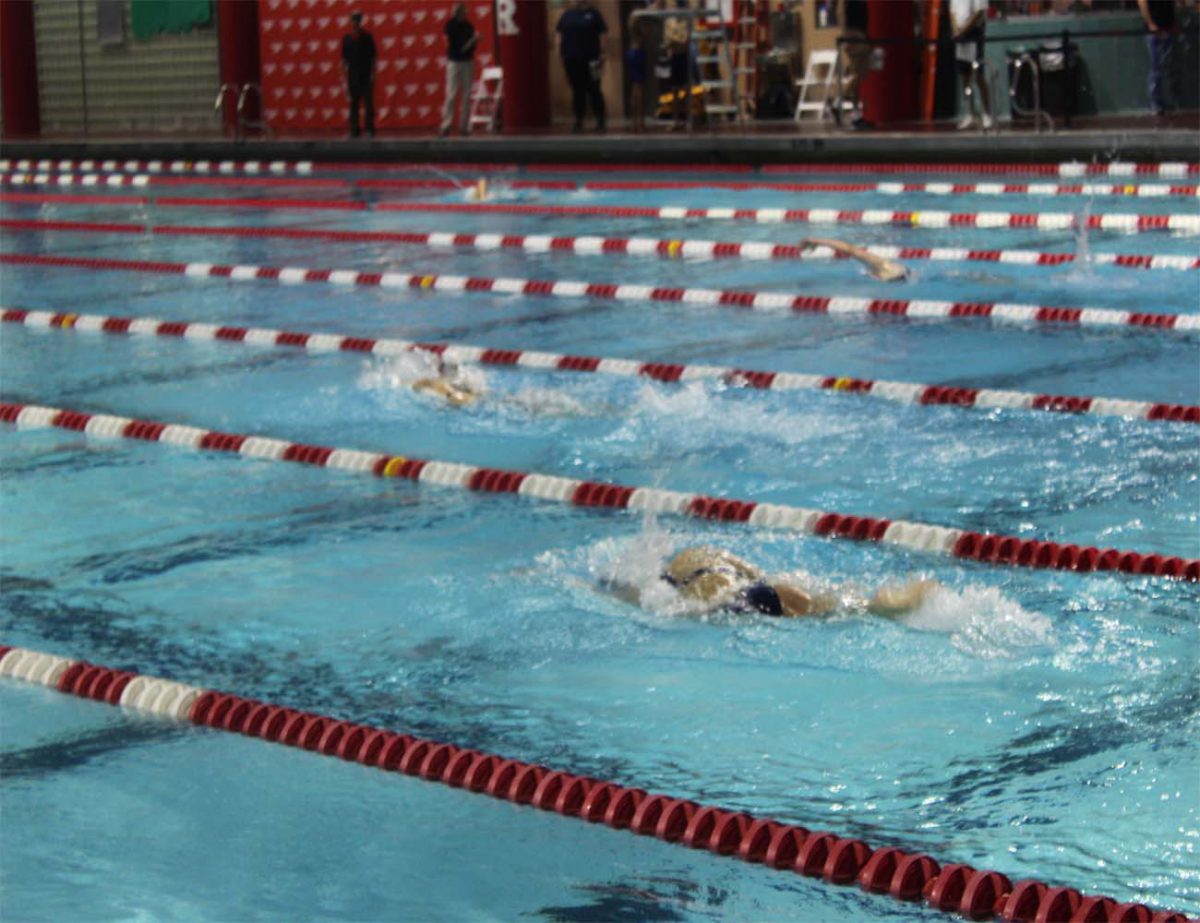 Speedo Winter Invite Sunday Afternoon Videos and Photos Now Available