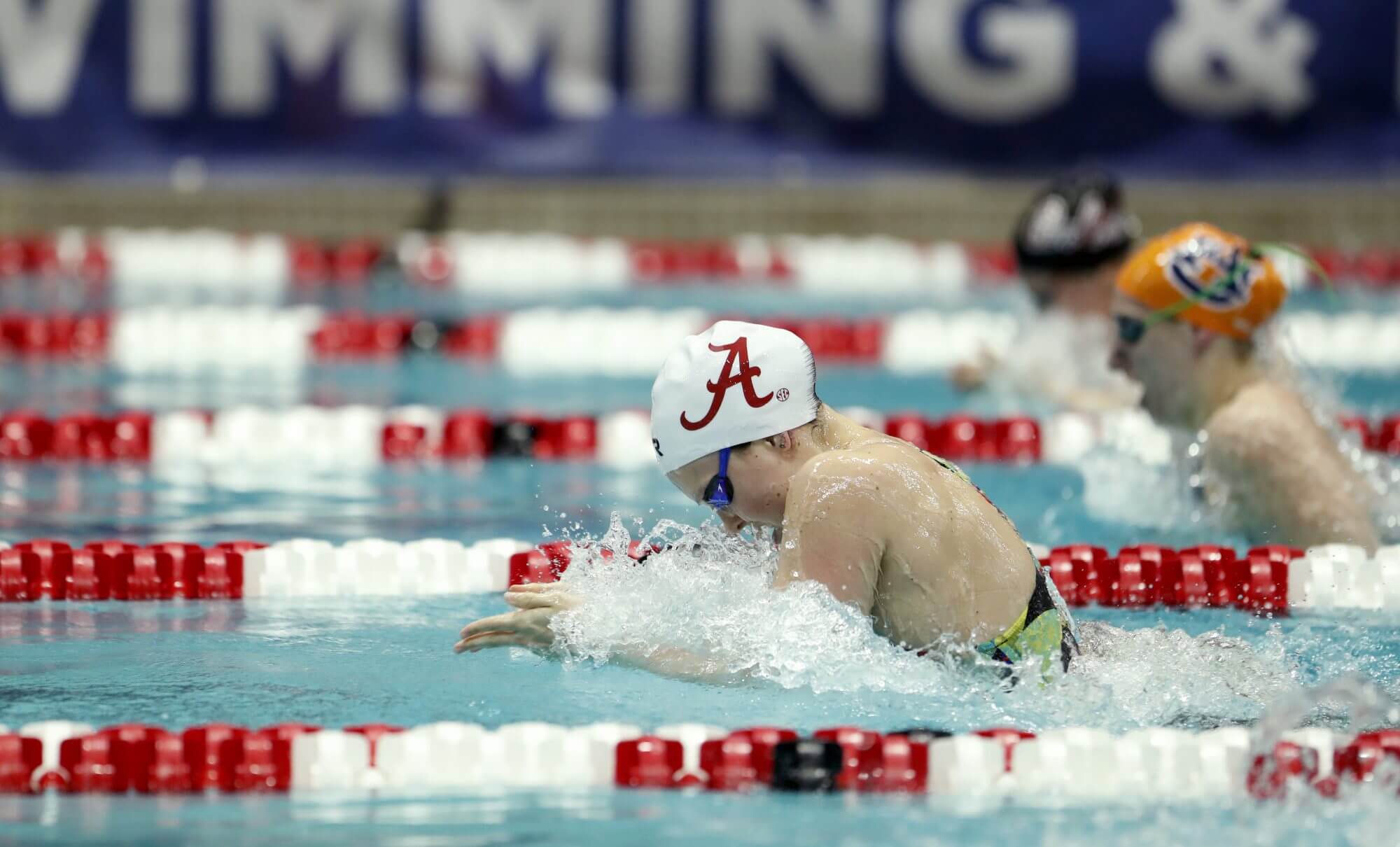 Rebecca Westfall Added as Alabama Swimming Assistant Coach - Swimming World