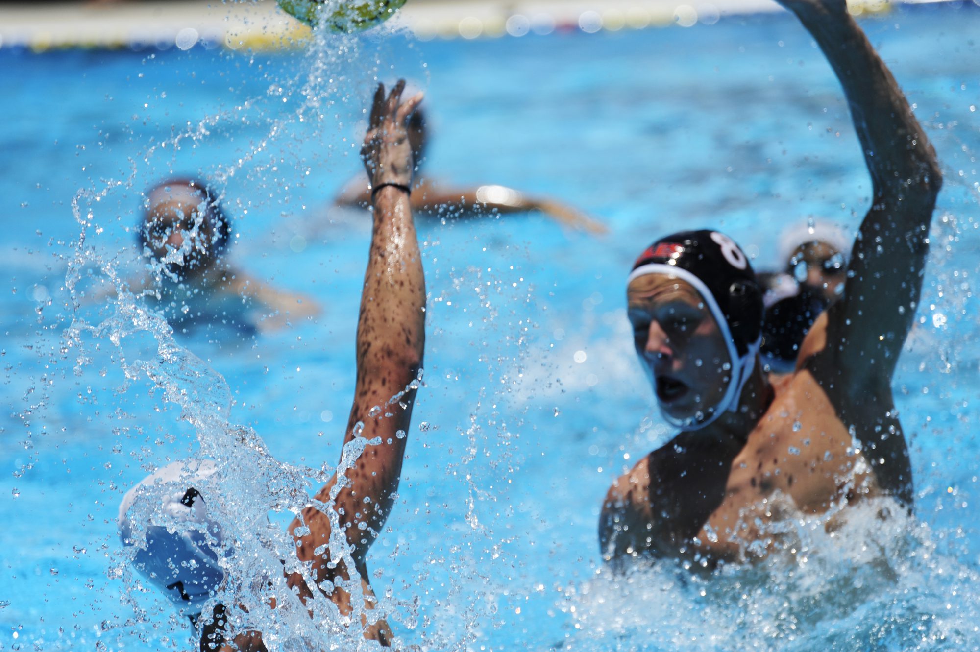 Don't Look Now, But the South Florida Polo Scene Is Exploding ...