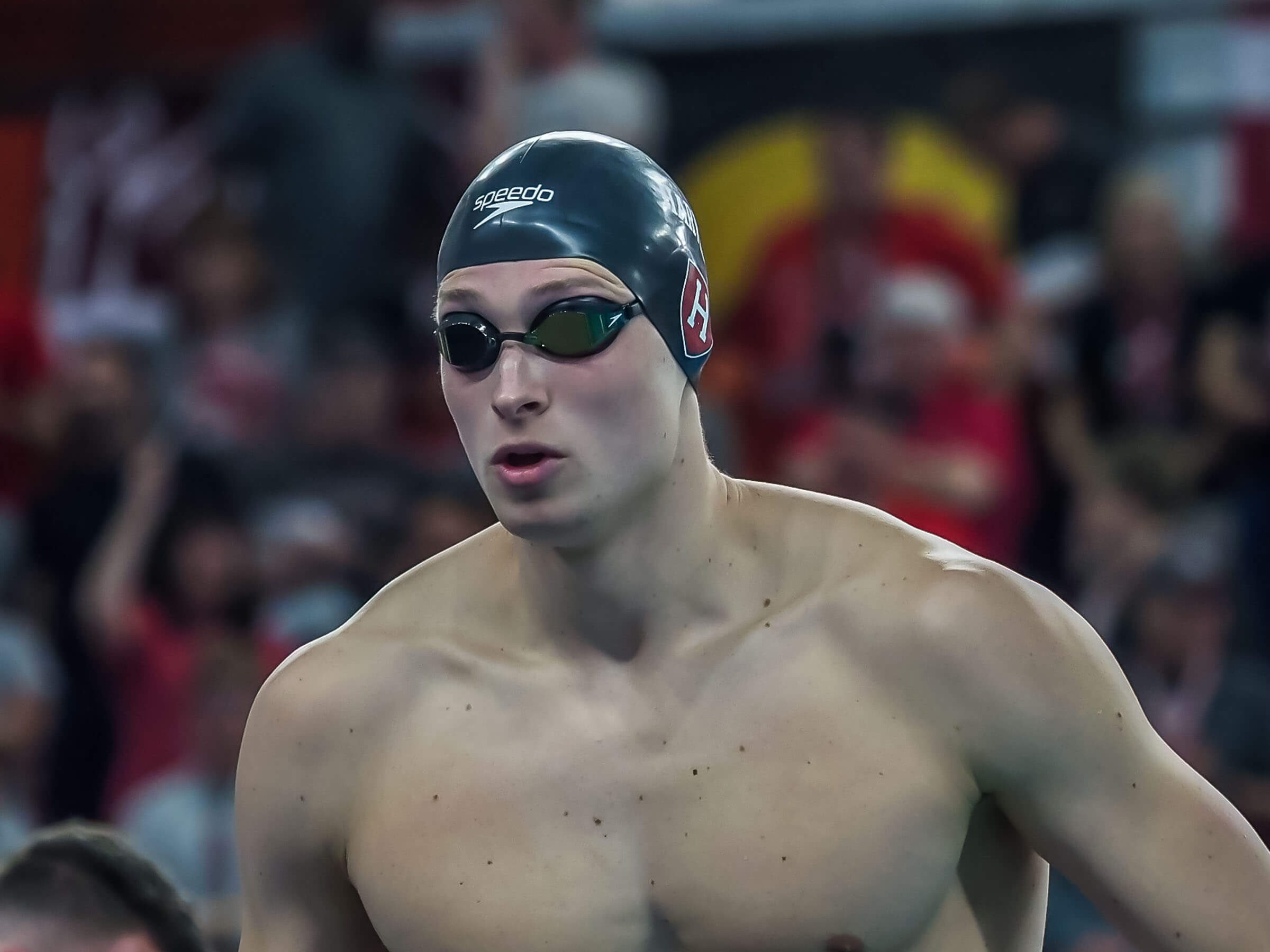 Harvard Snares Ivy League Title As Dean Farris Adds 100 Freestyle Title