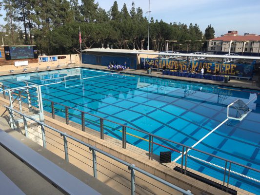 Swimming World’s Annual Water Polo Camp Guide—2019 Version - Swimming World