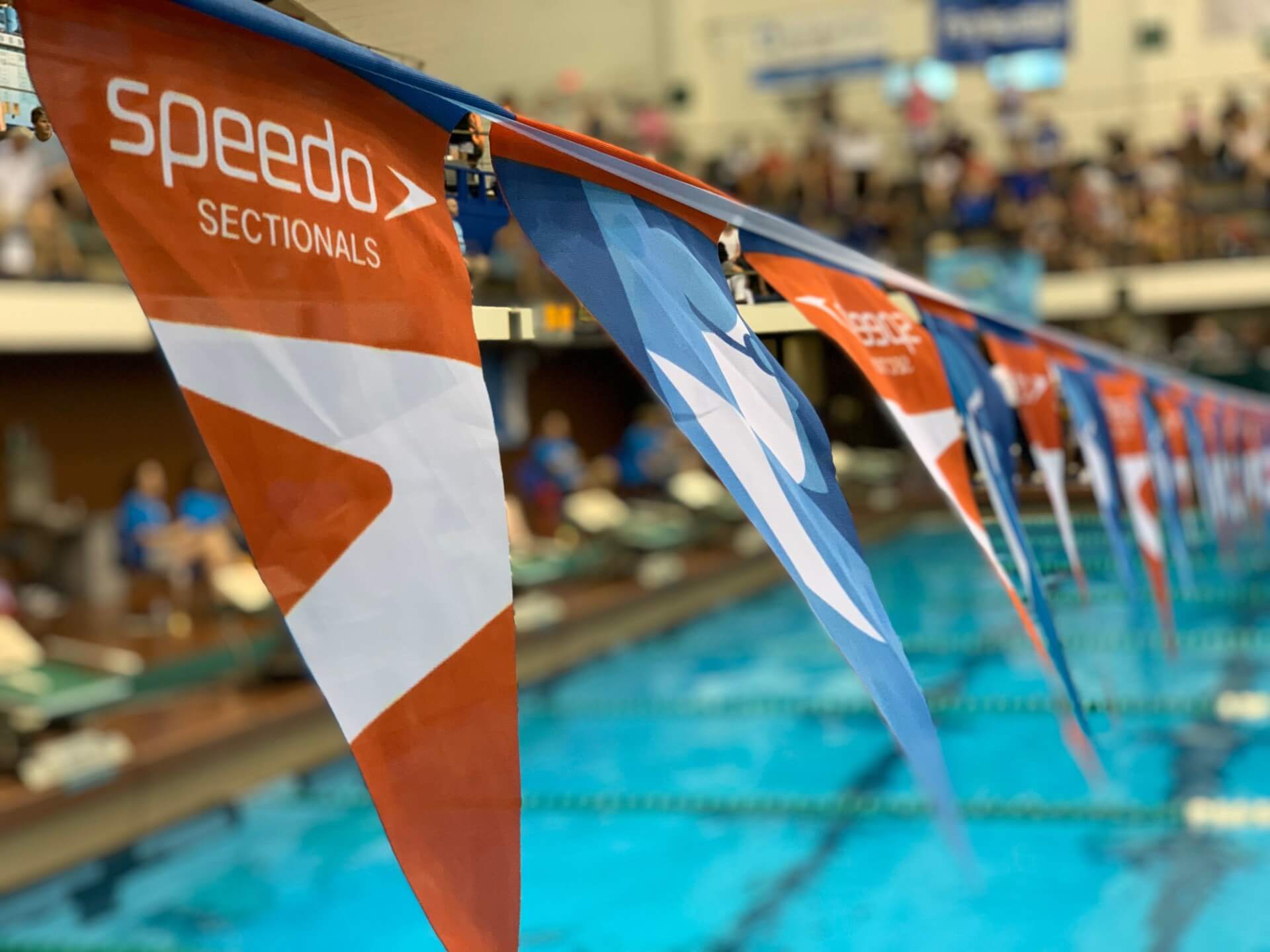2019 Speedo Sectionals Cleveland: Club Wolverine Stands Above the Rest ...