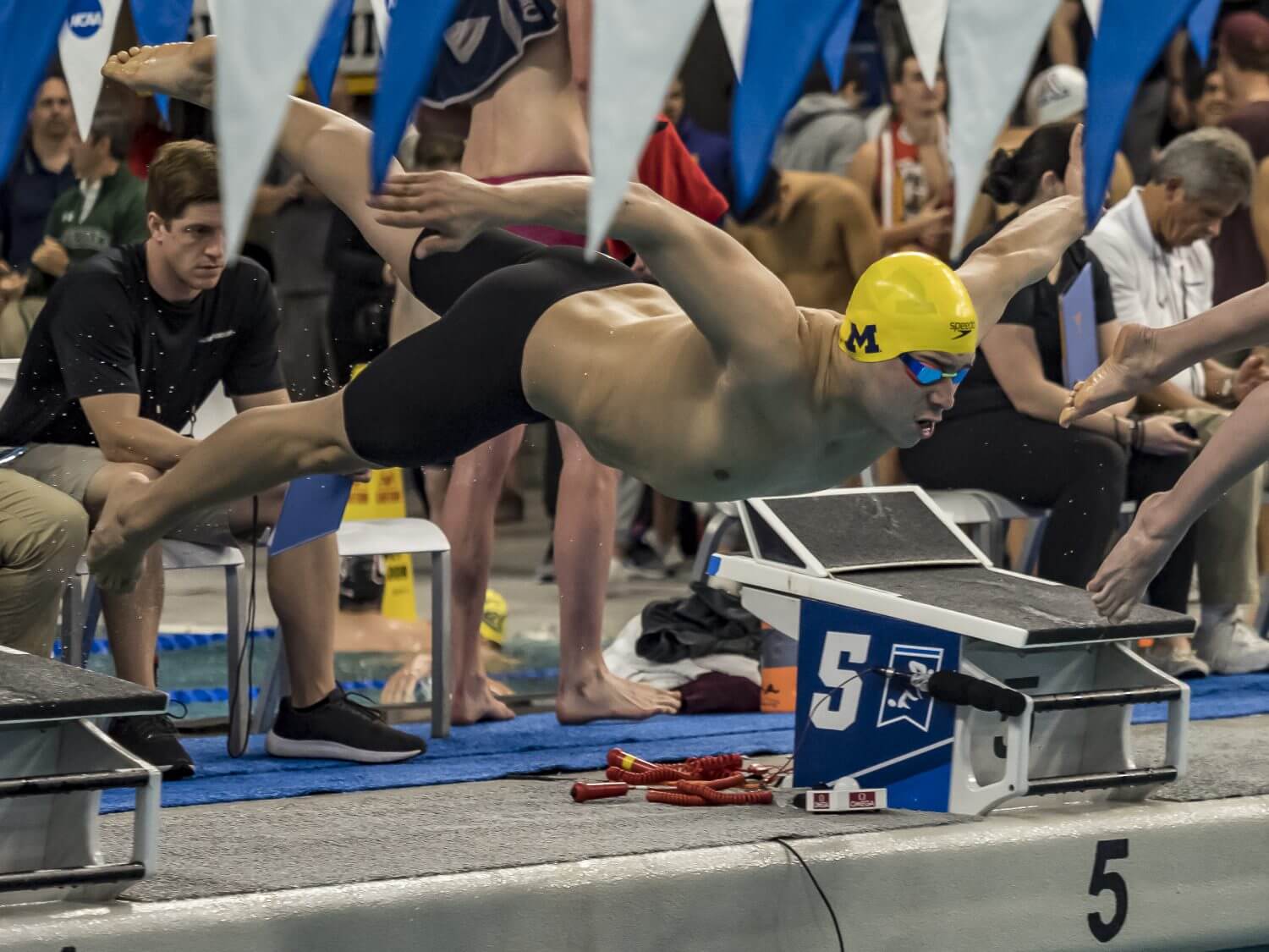 NCAA Swim Meets of the Week: Michigan Poised to Win Back Big Ten Crown ...